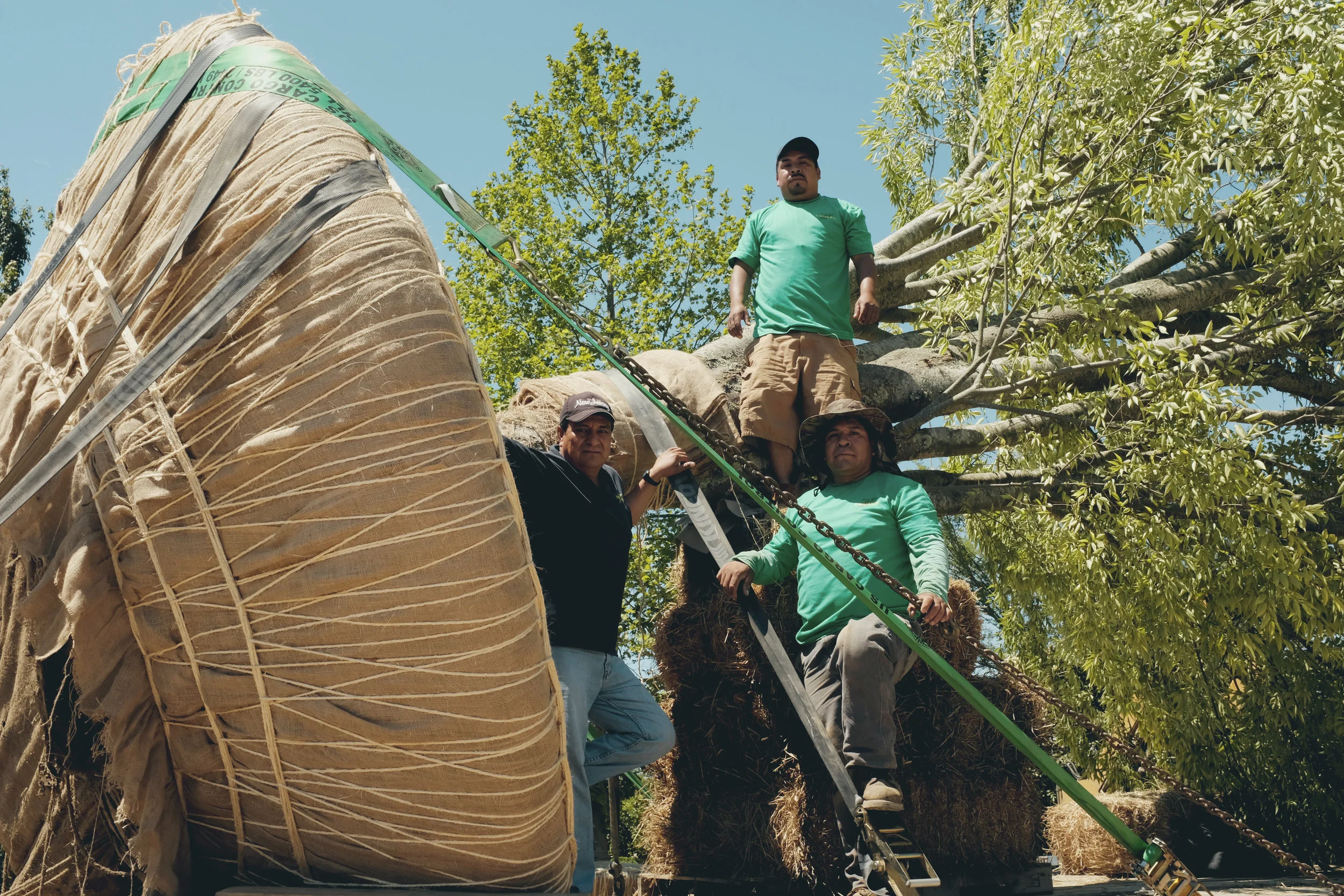 ABOUT — Whitmores Inc