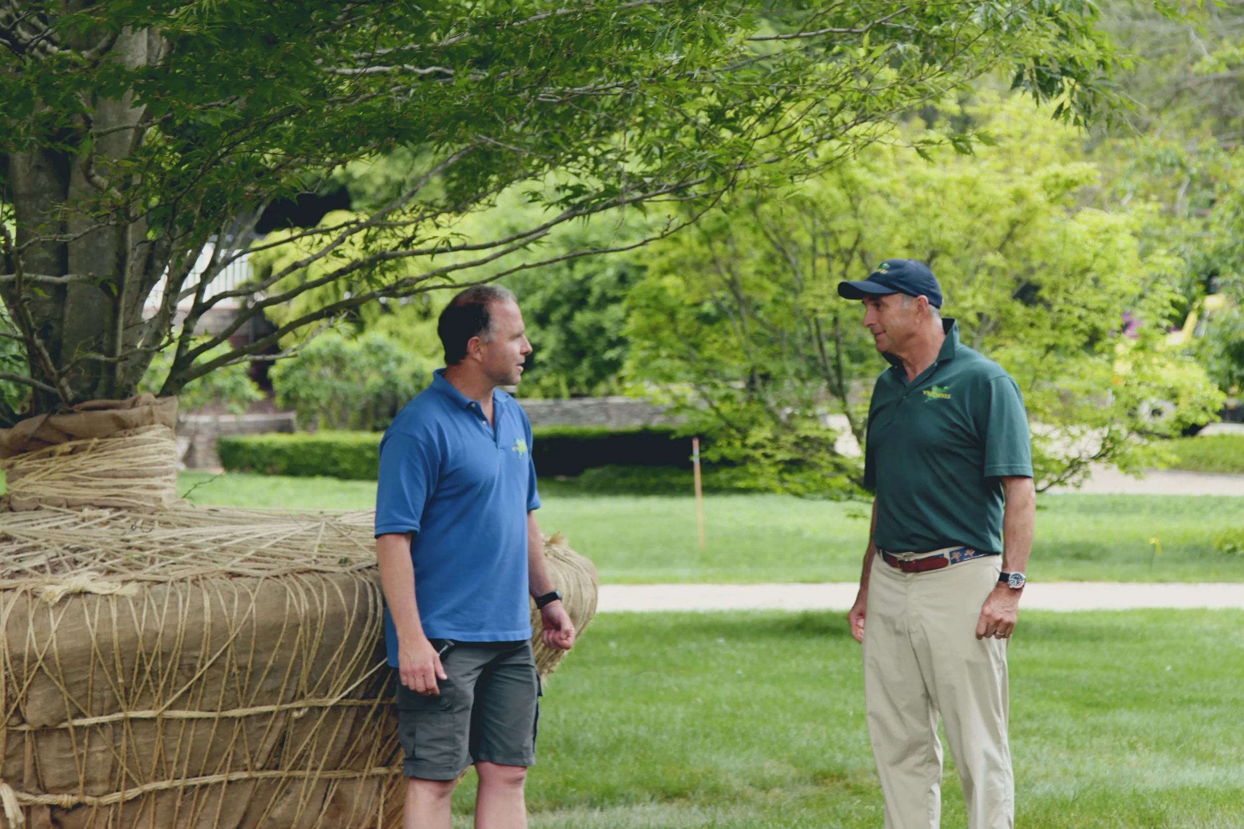 ABOUT — Whitmores Inc