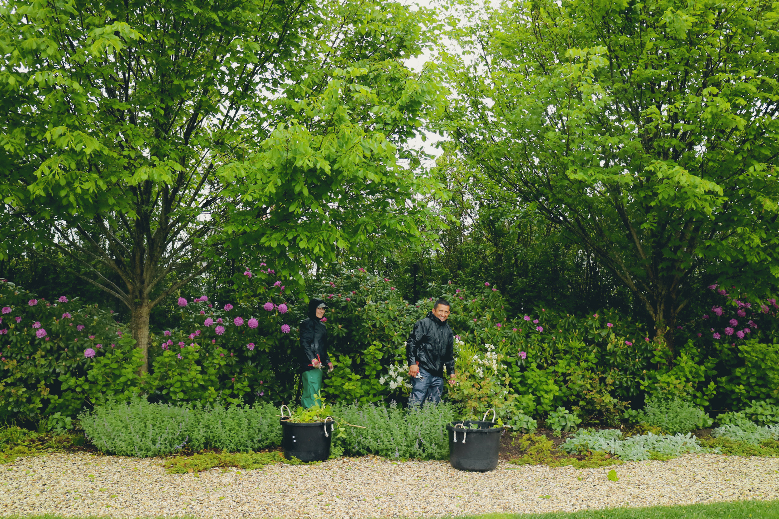 ABOUT — Whitmores Inc