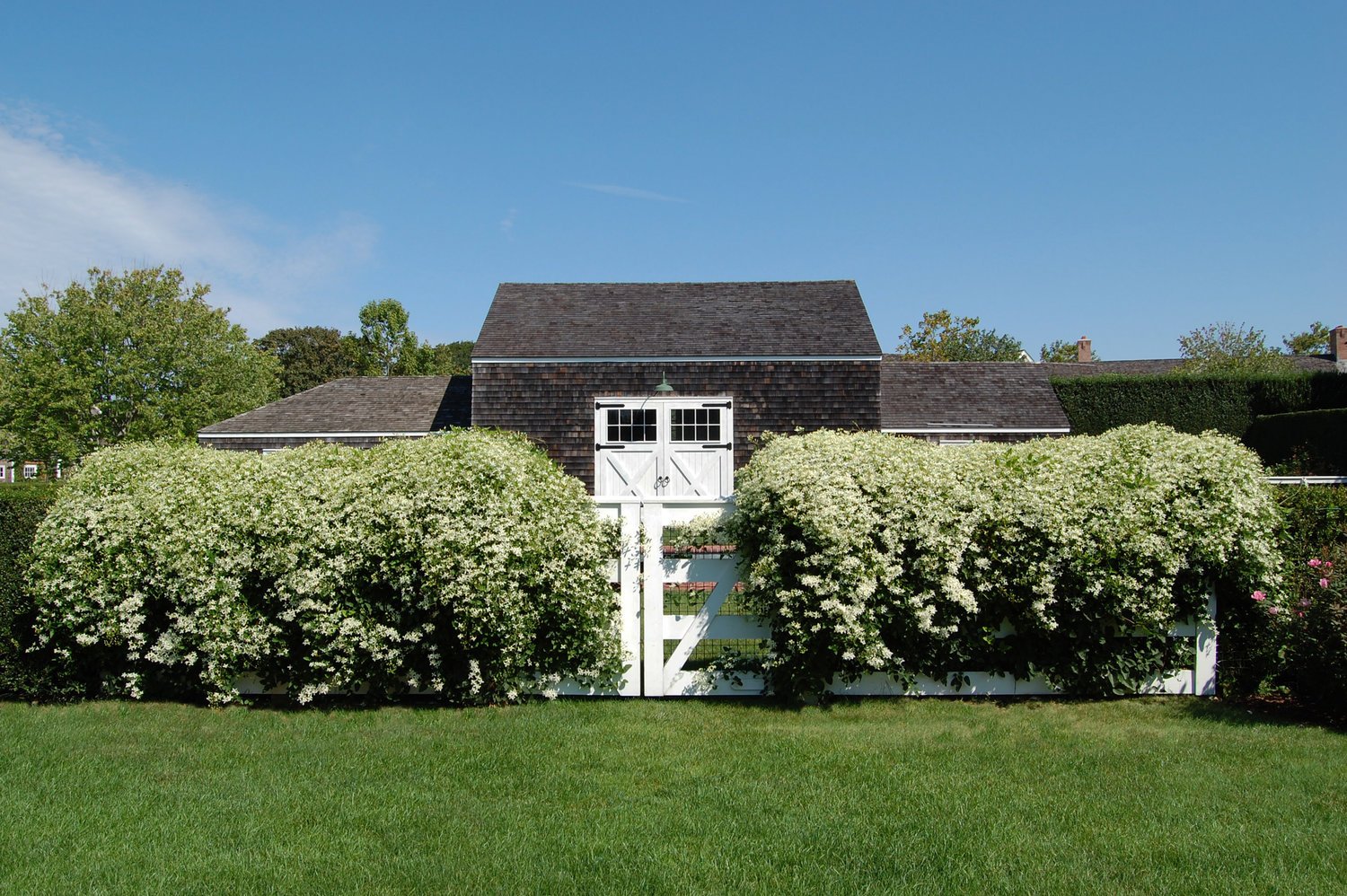 GALLERY — Whitmores