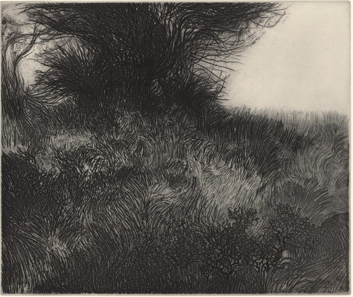 Peter Milton Prints and Biography — Warnock Fine Arts