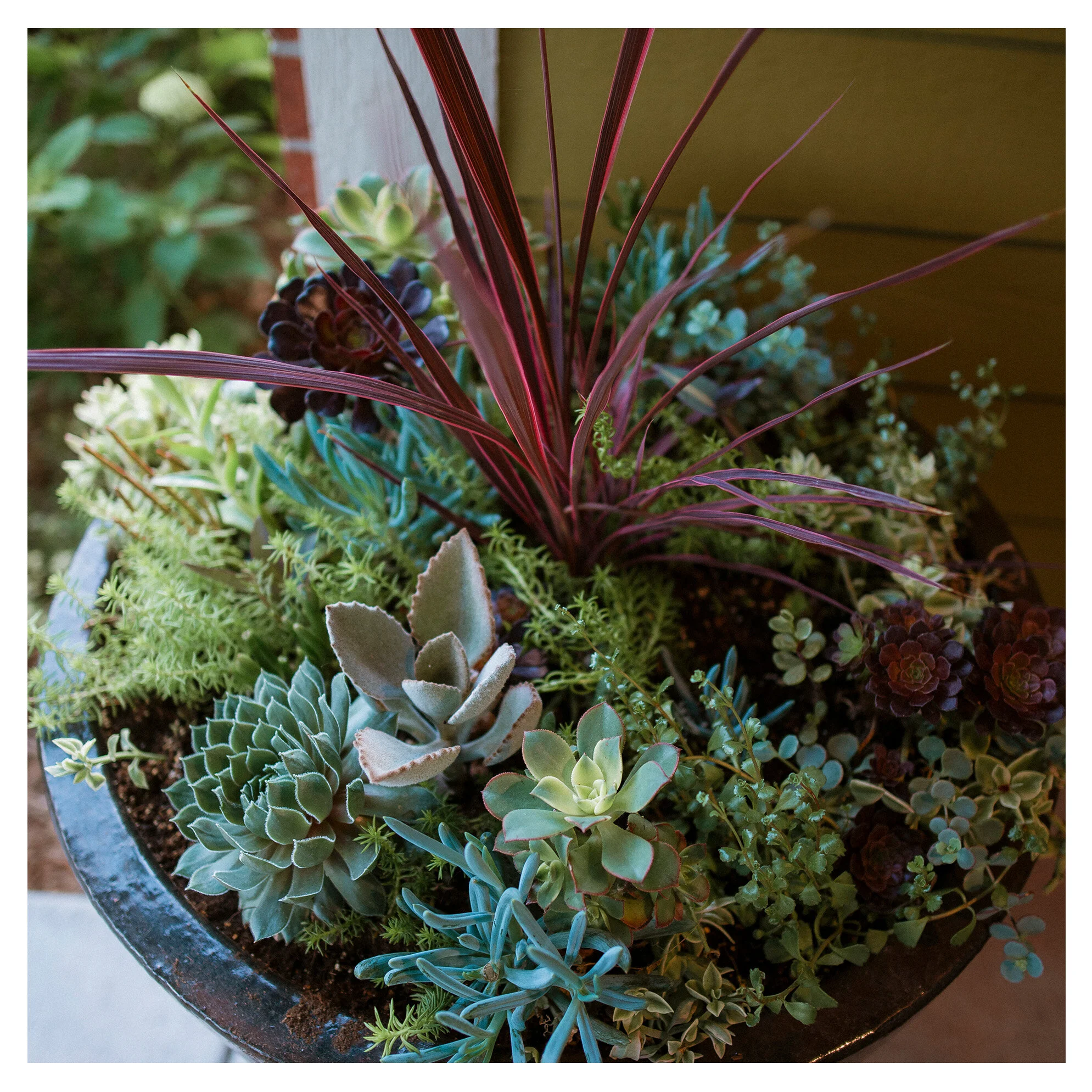 Landscape Features | Tree of Life Landscapes