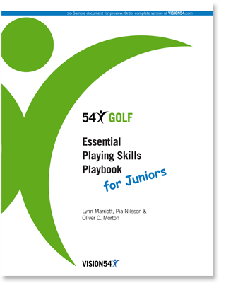 Free Zone — VISION54