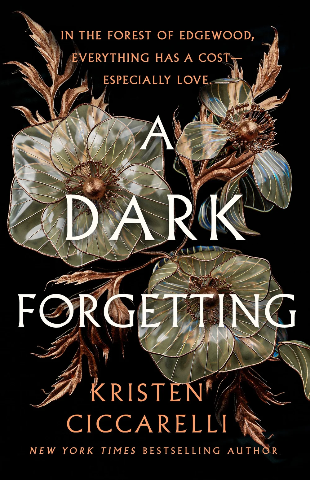 A Dark Forgetting — KRISTEN CICCARELLI