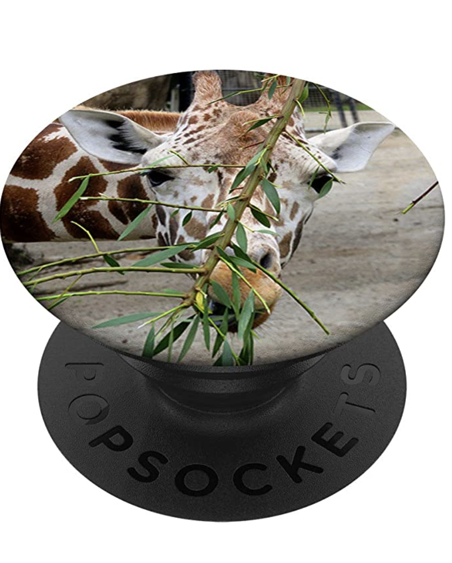 Giraffe Eating — Lee Towle Designs - Digital Illustrator, Graphic ...