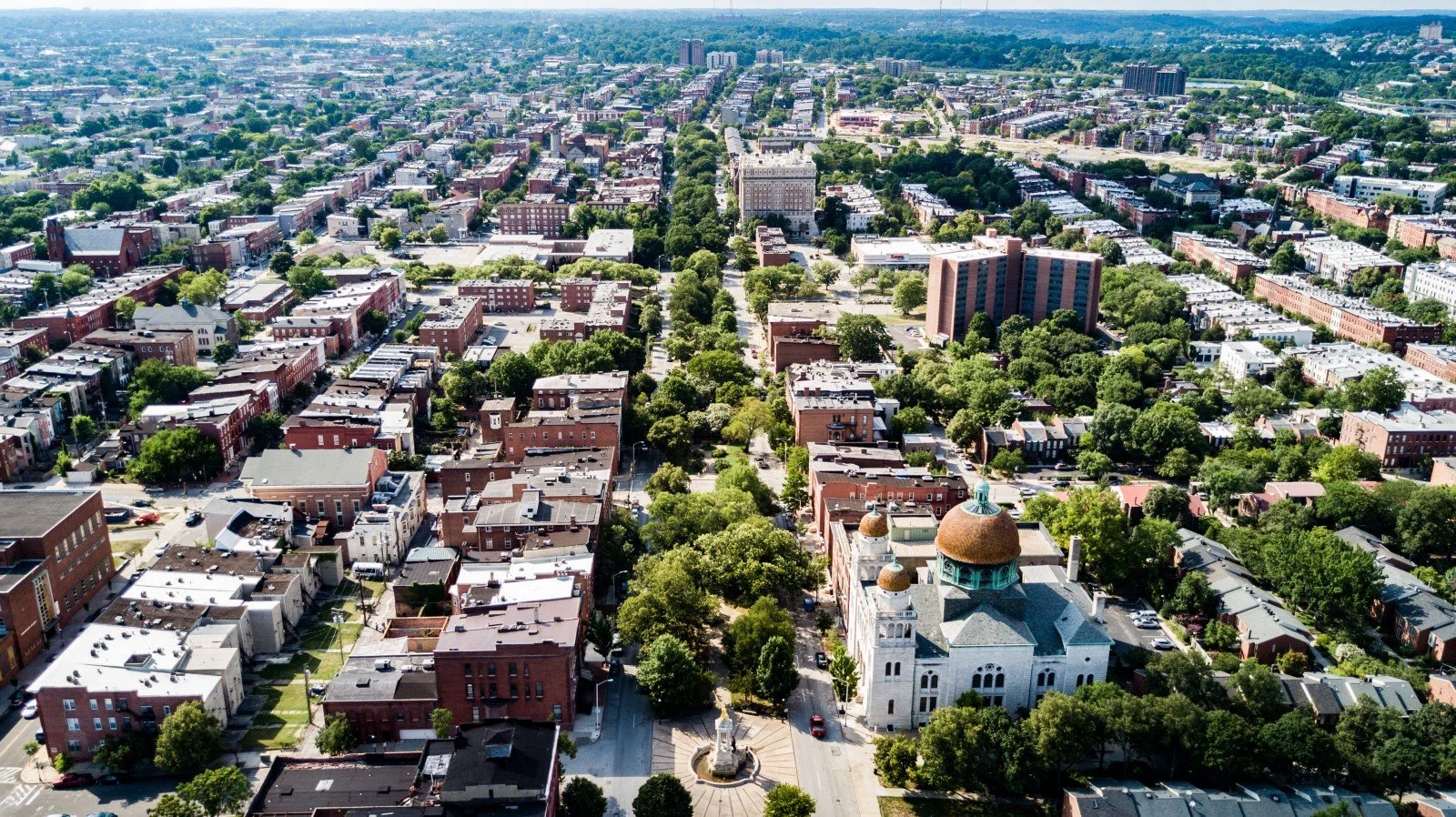 YourForest Episodes-YourForest