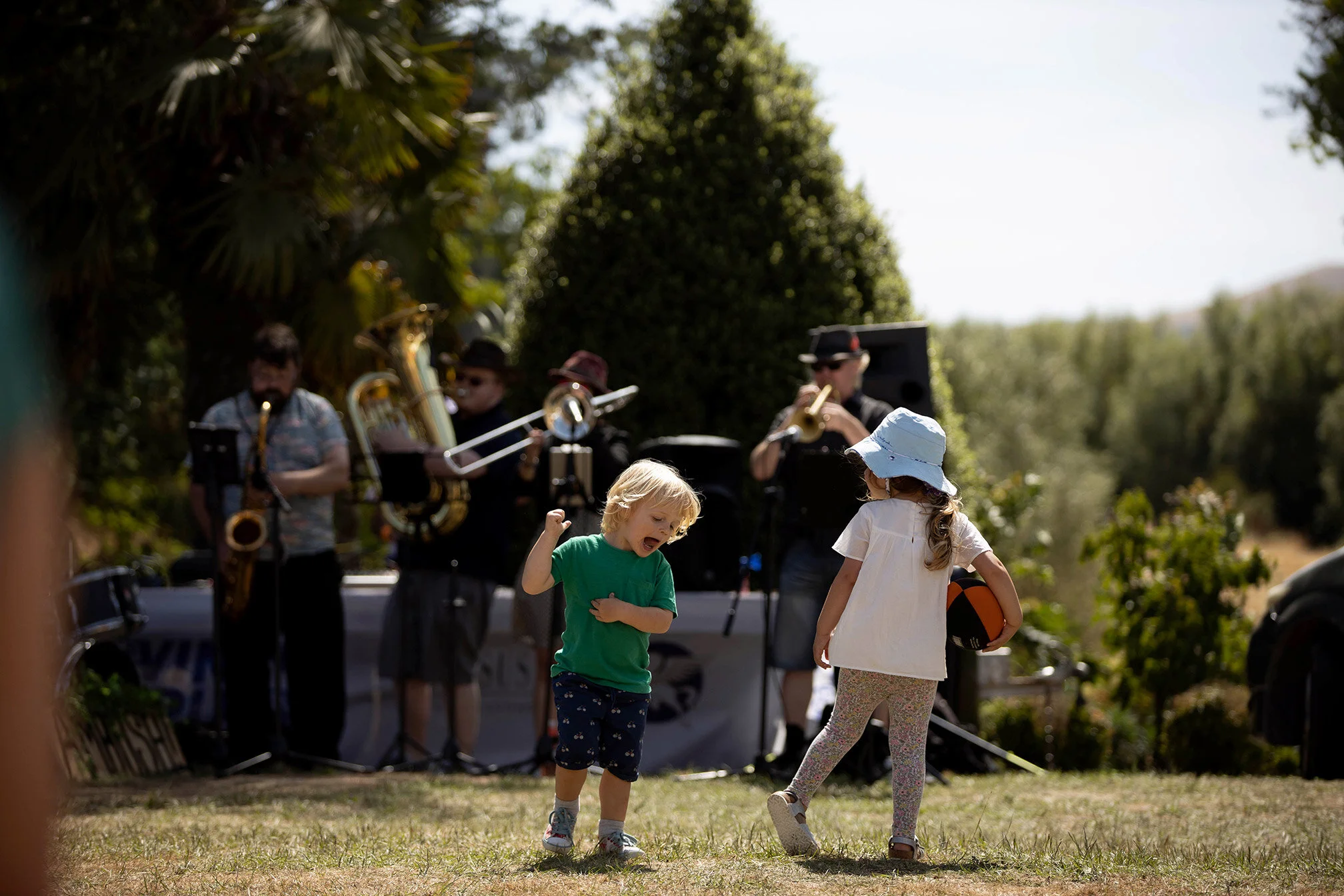 Gallery 2020 — Pegasus Bay Vine Run