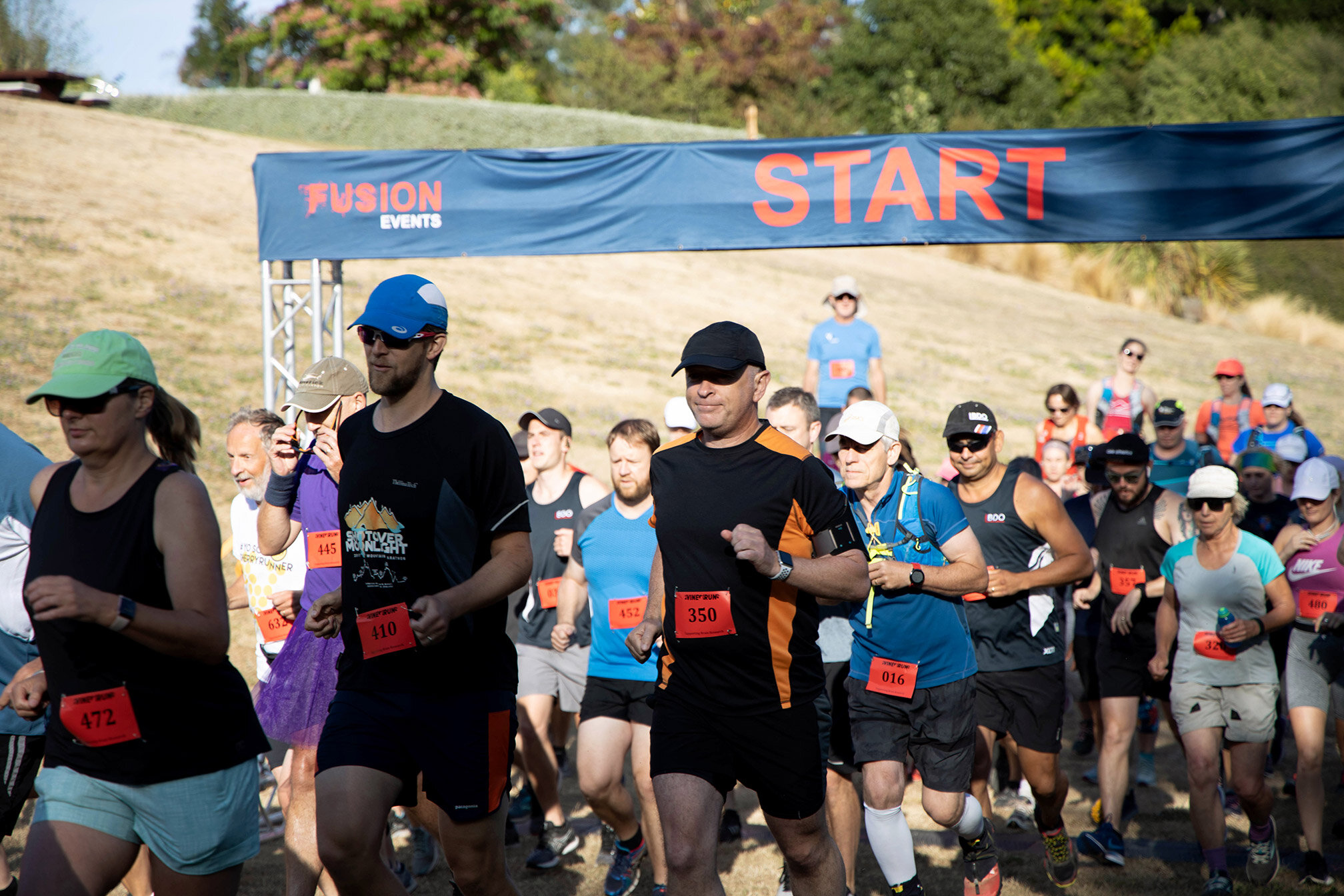 Gallery 2020 — Pegasus Bay Vine Run