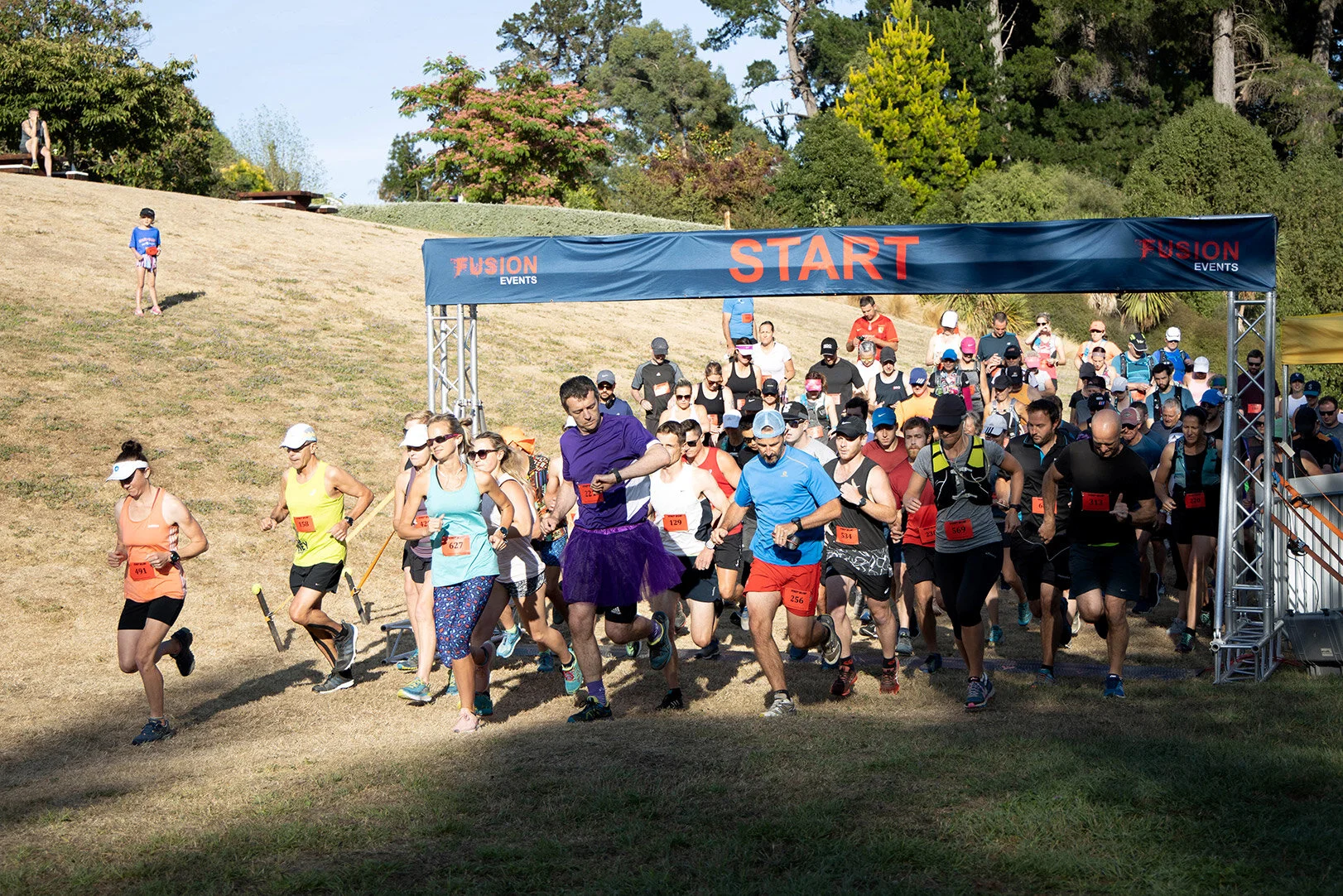 Gallery 2020 — Pegasus Bay Vine Run