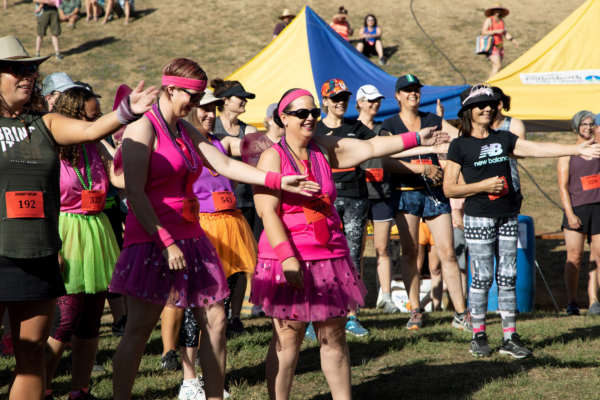 Gallery 2020 — Pegasus Bay Vine Run