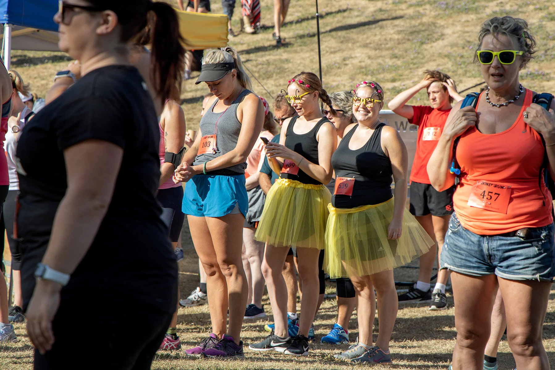 Gallery 2020 — Pegasus Bay Vine Run