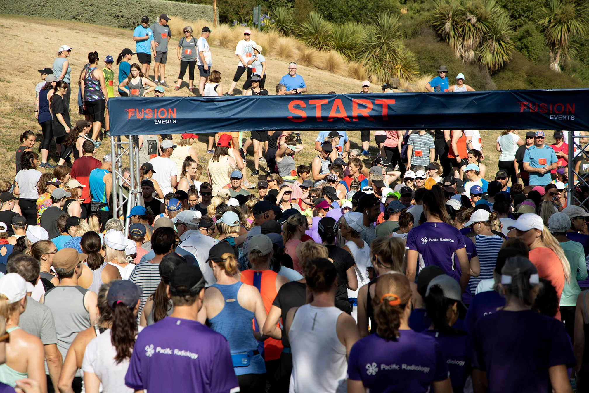 Gallery 2020 — Pegasus Bay Vine Run
