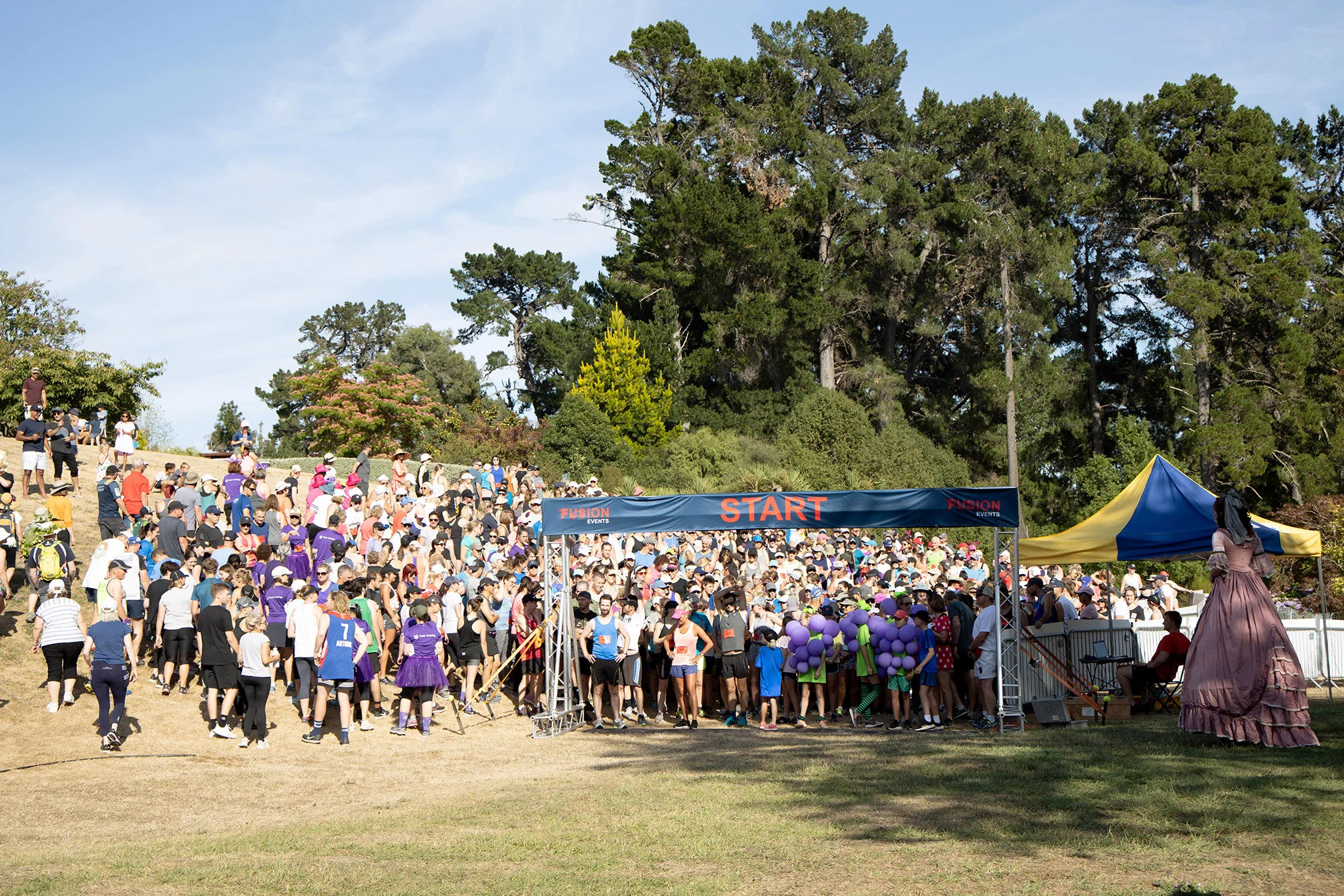 Gallery 2020 — Pegasus Bay Vine Run