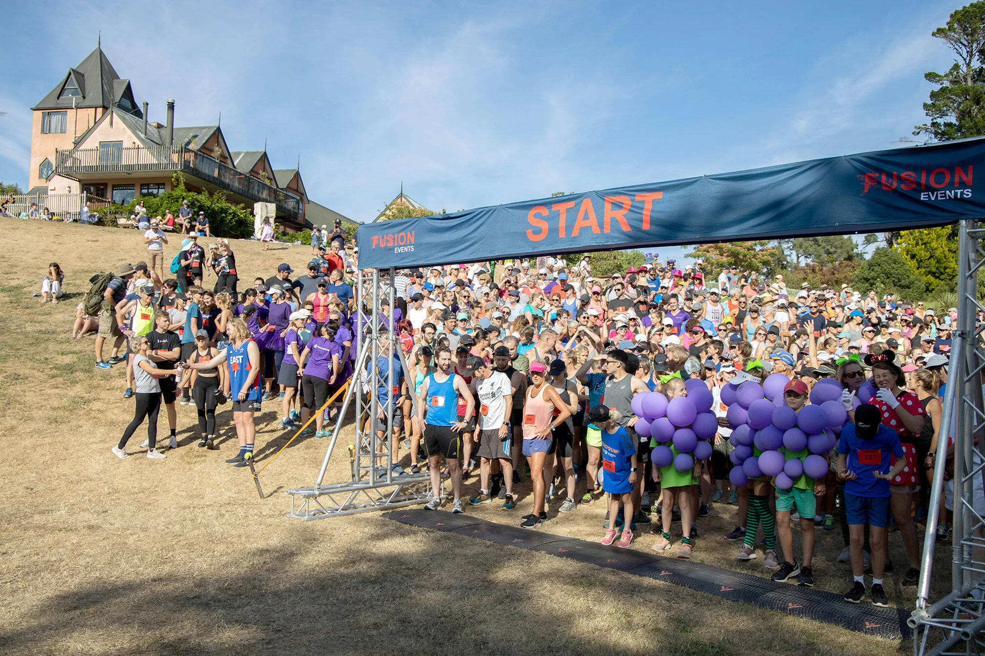 Gallery 2020 — Pegasus Bay Vine Run