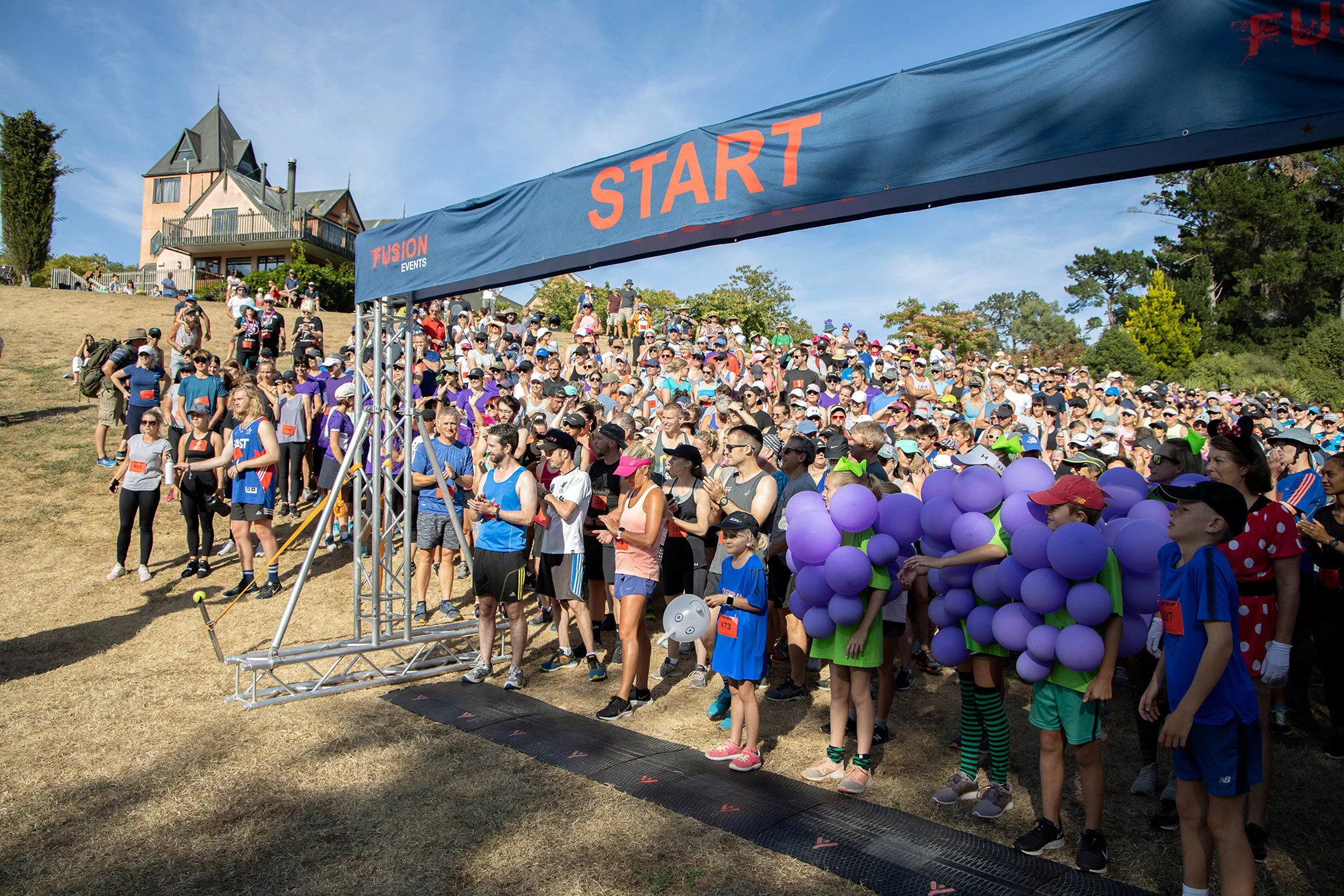 Gallery 2020 — Pegasus Bay Vine Run