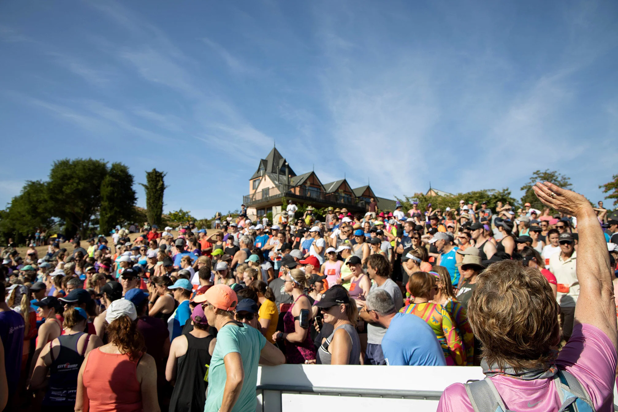 Gallery 2020 — Pegasus Bay Vine Run