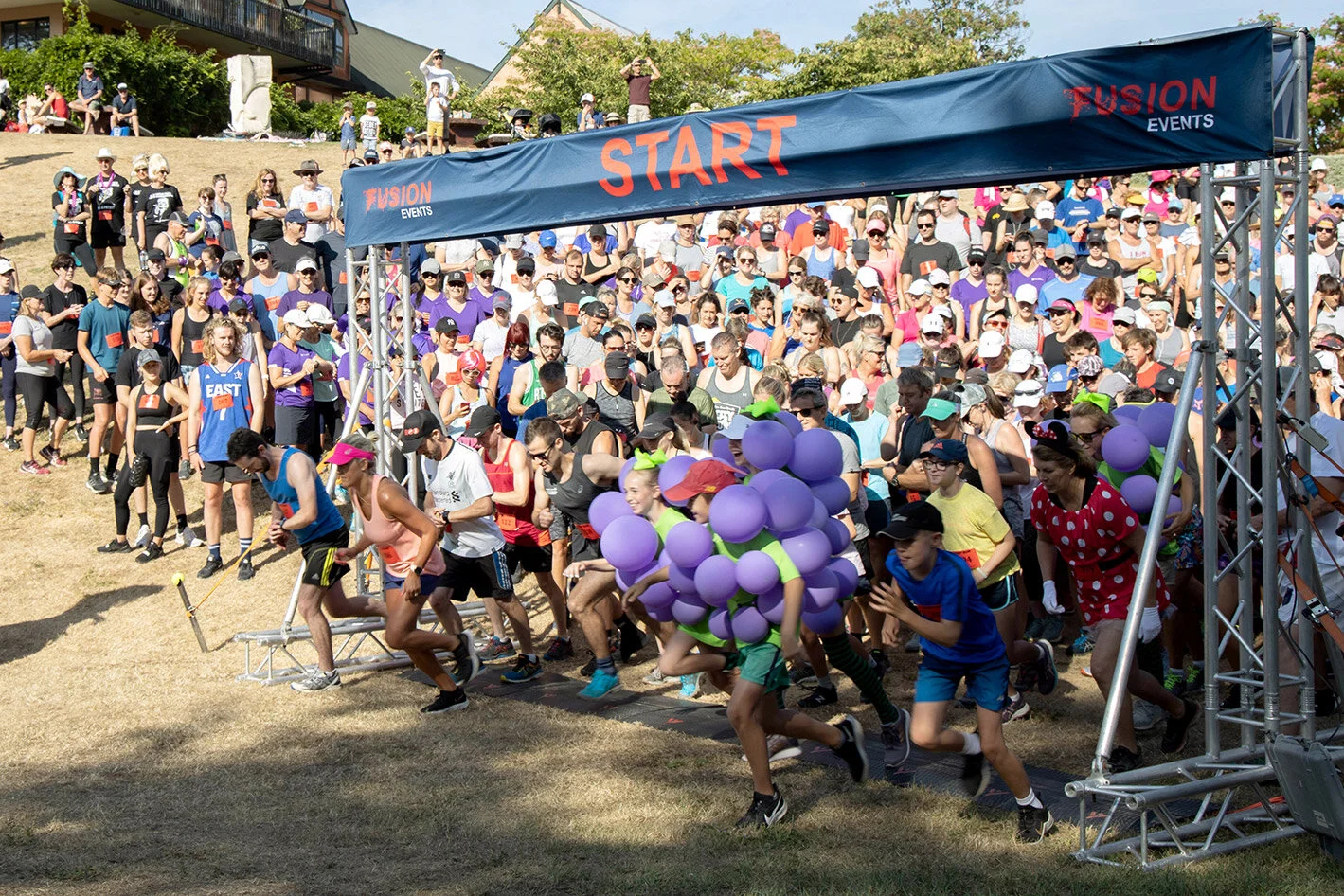 Gallery 2020 — Pegasus Bay Vine Run