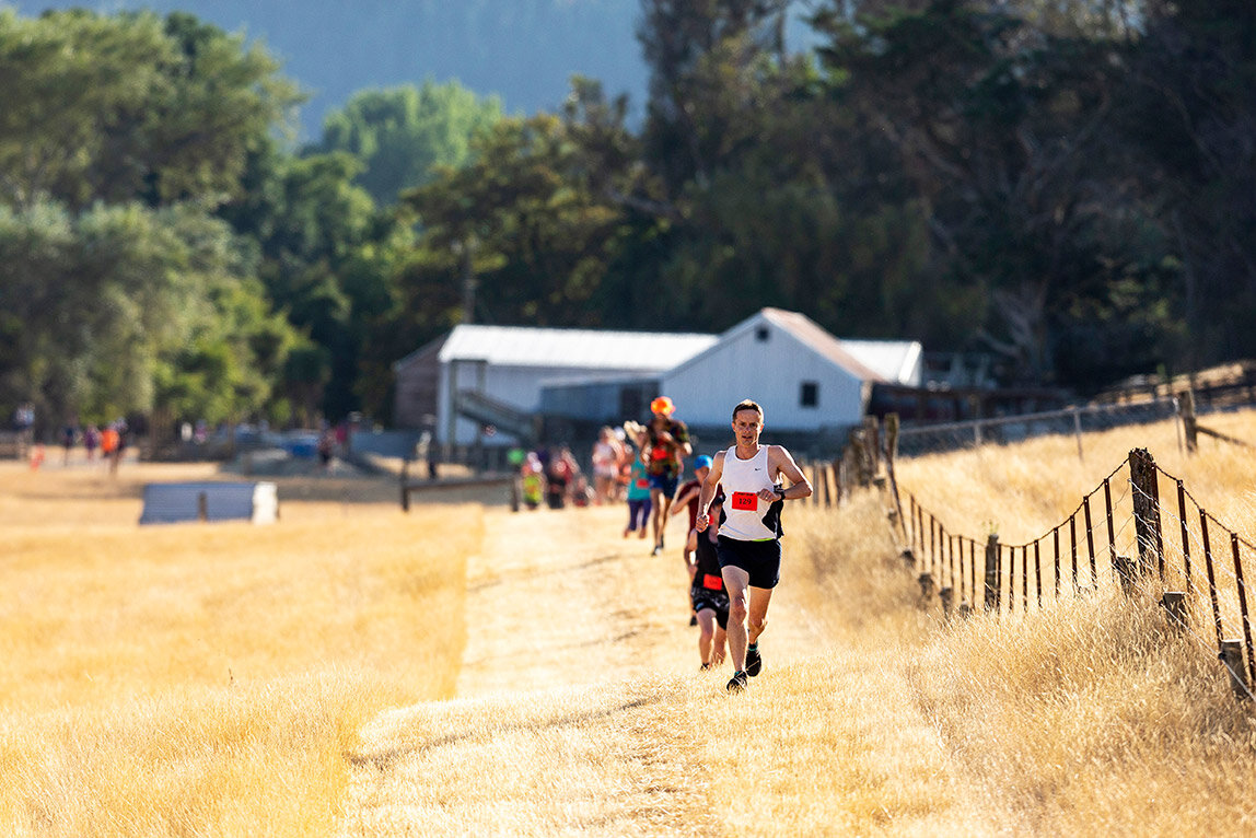 Gallery 2020 — Pegasus Bay Vine Run