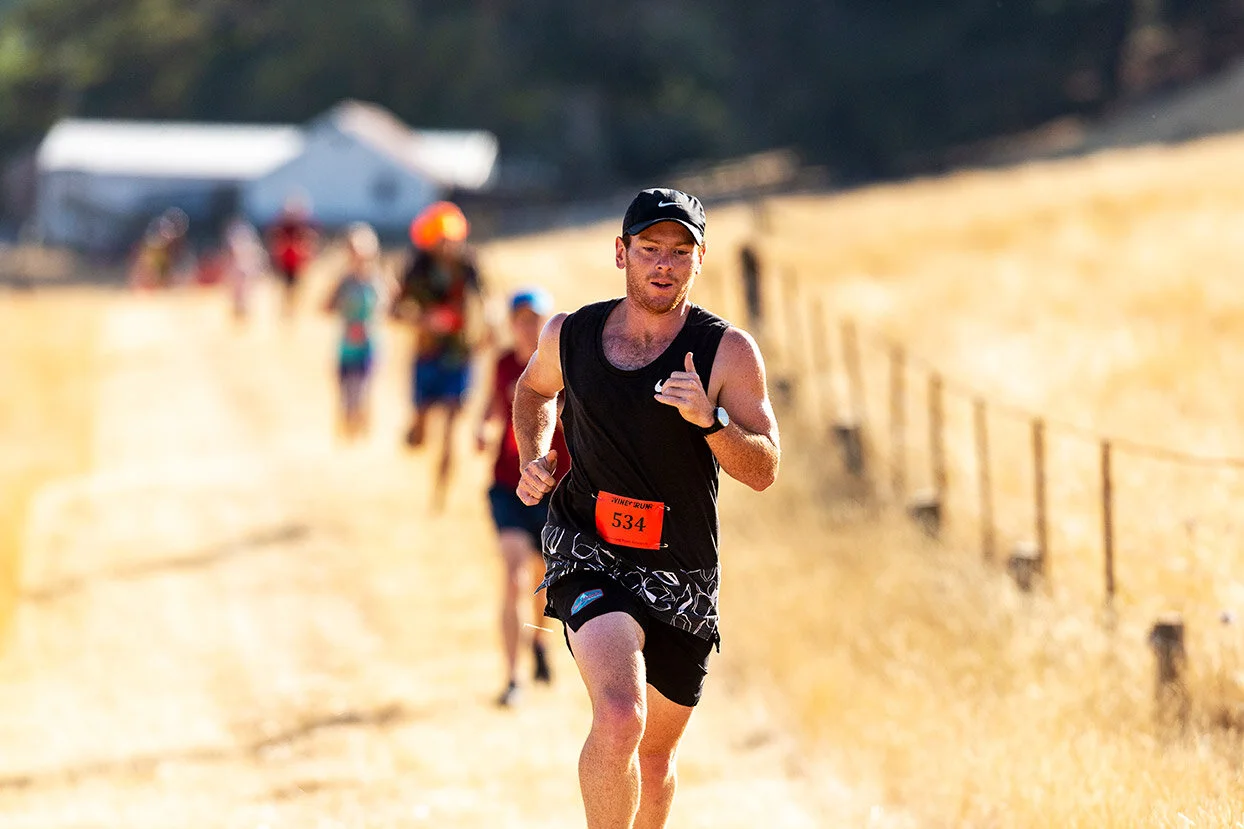 Gallery 2020 — Pegasus Bay Vine Run