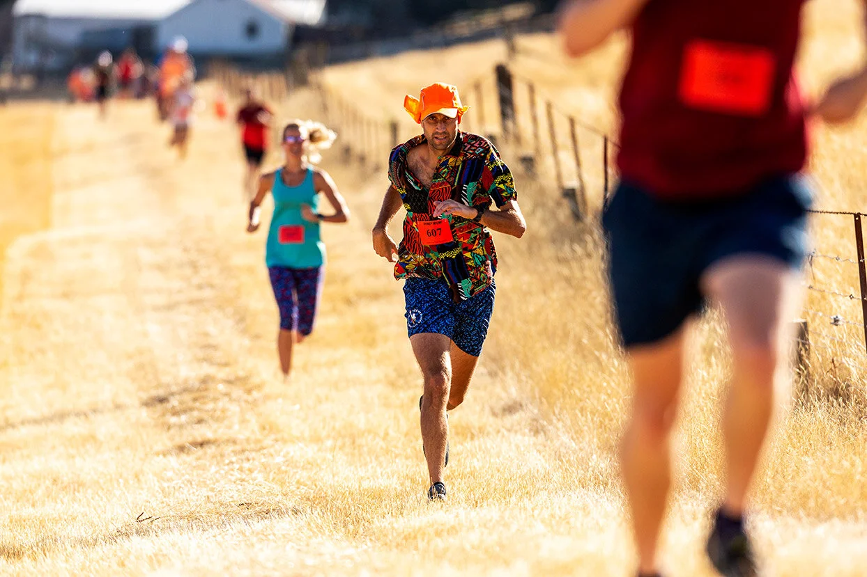 Gallery 2020 — Pegasus Bay Vine Run