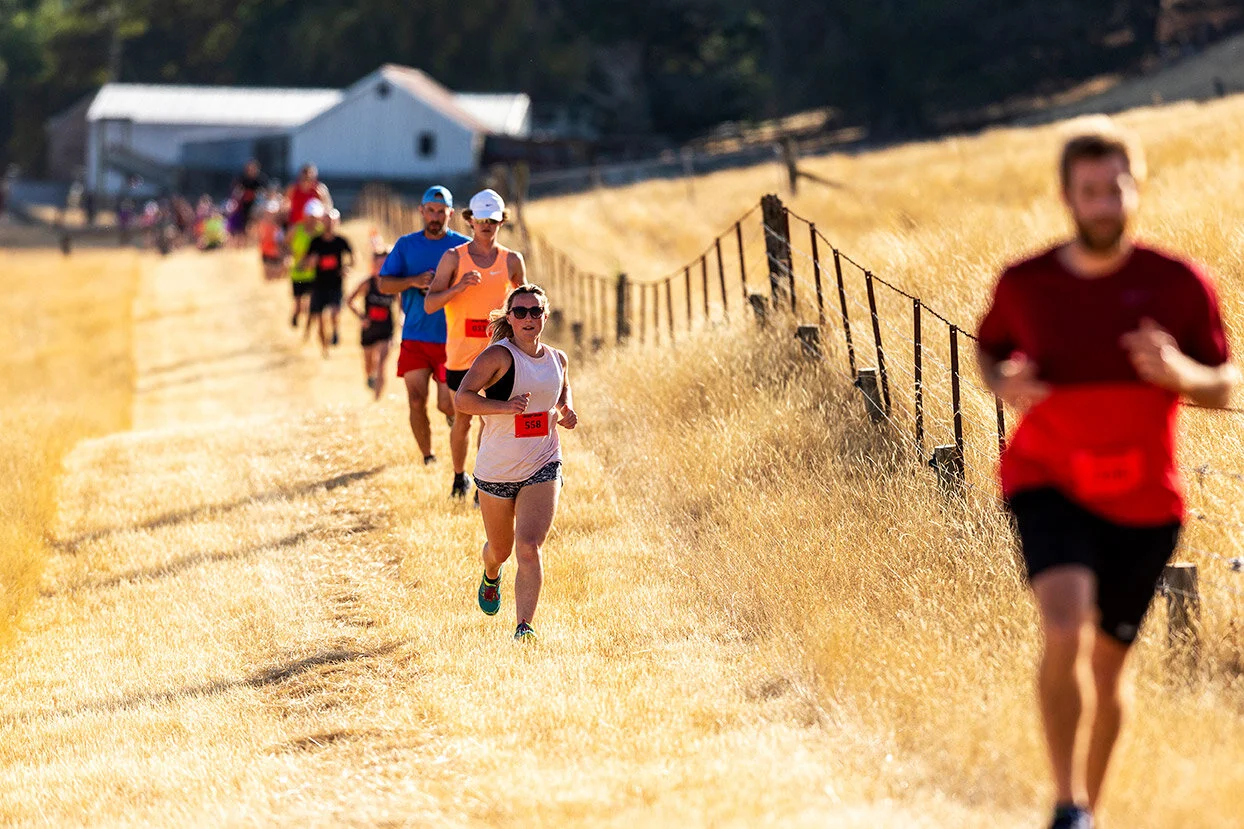 Gallery 2020 — Pegasus Bay Vine Run