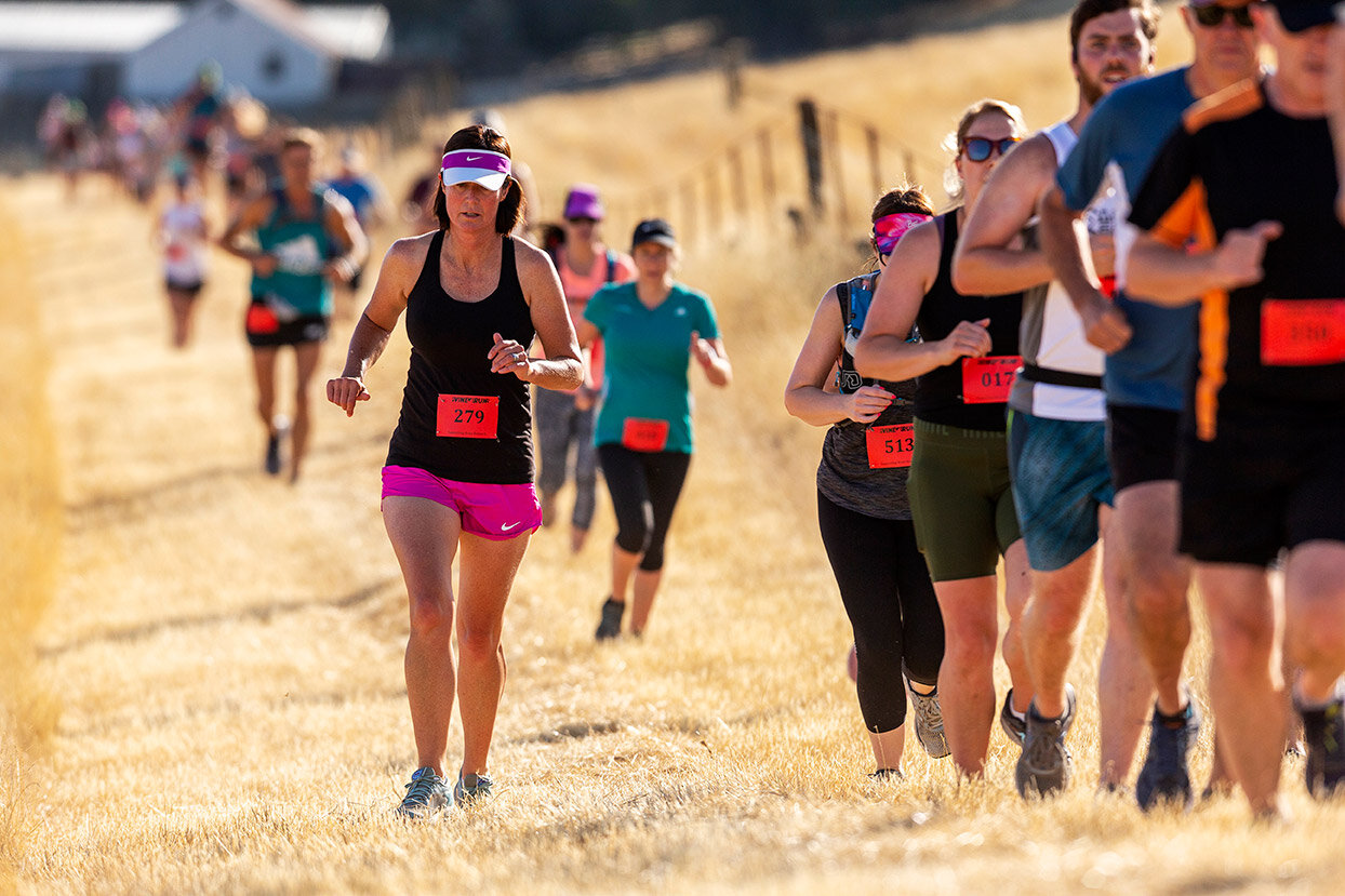 Gallery 2020 — Pegasus Bay Vine Run