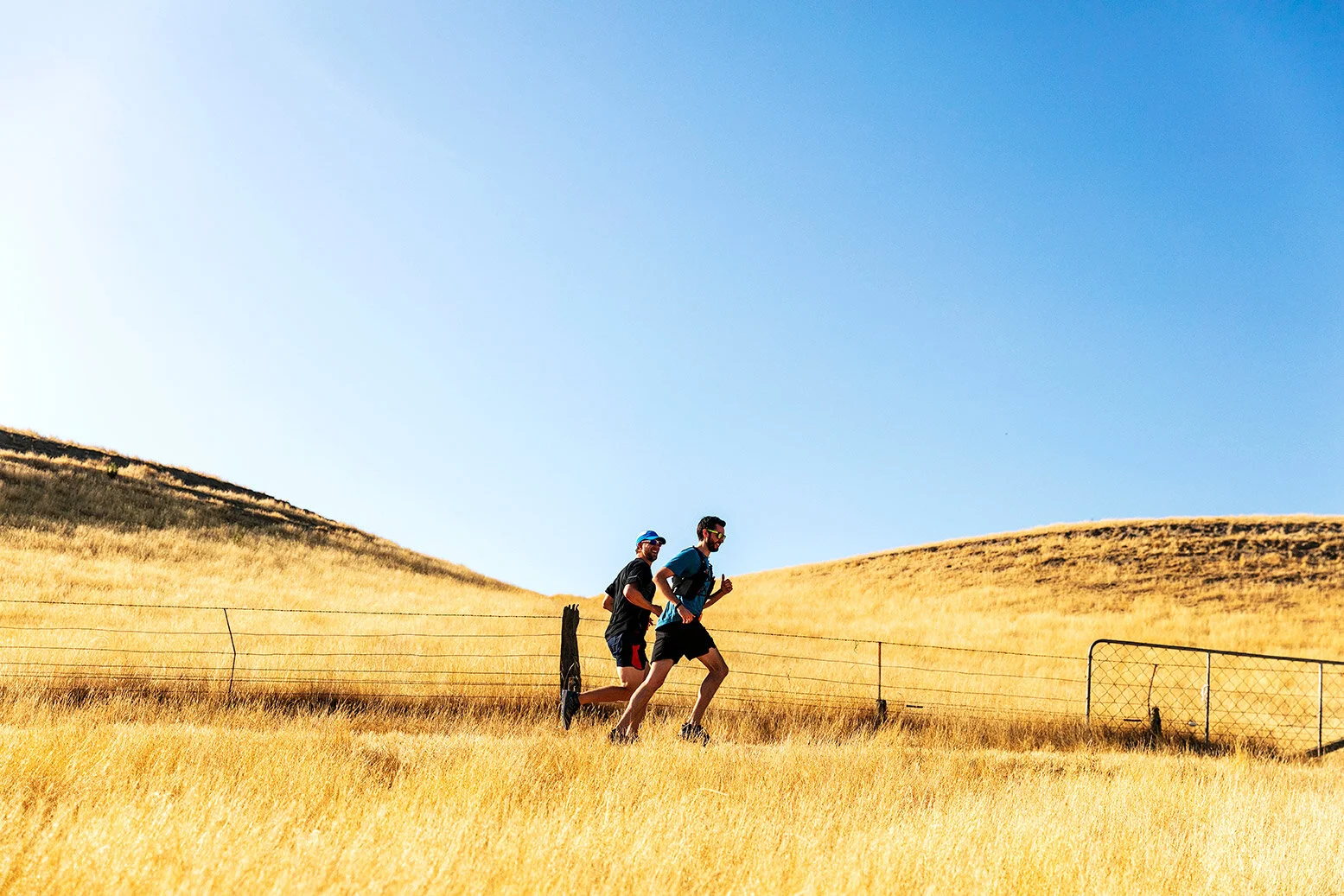 Gallery 2020 — Pegasus Bay Vine Run