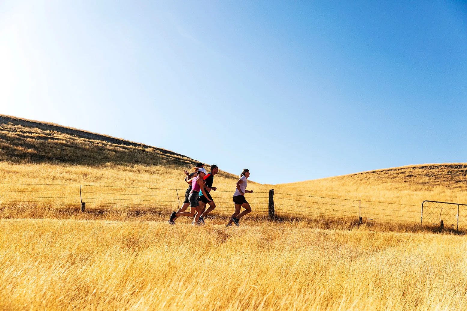 Gallery 2020 — Pegasus Bay Vine Run