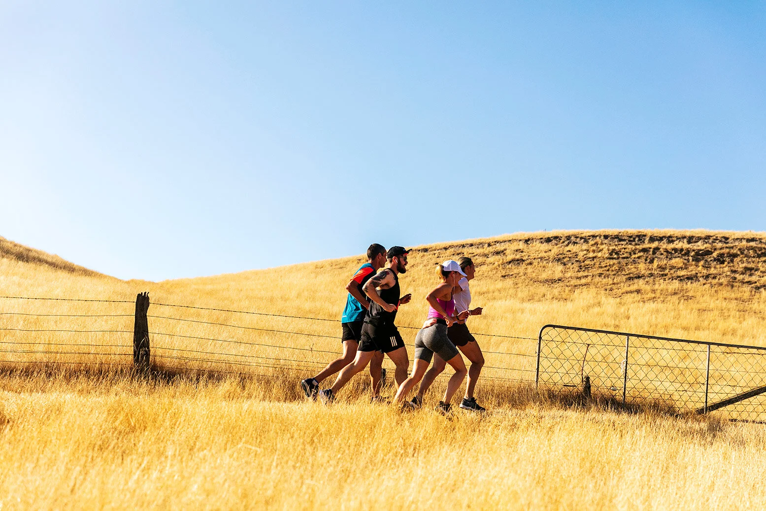 Gallery 2020 — Pegasus Bay Vine Run