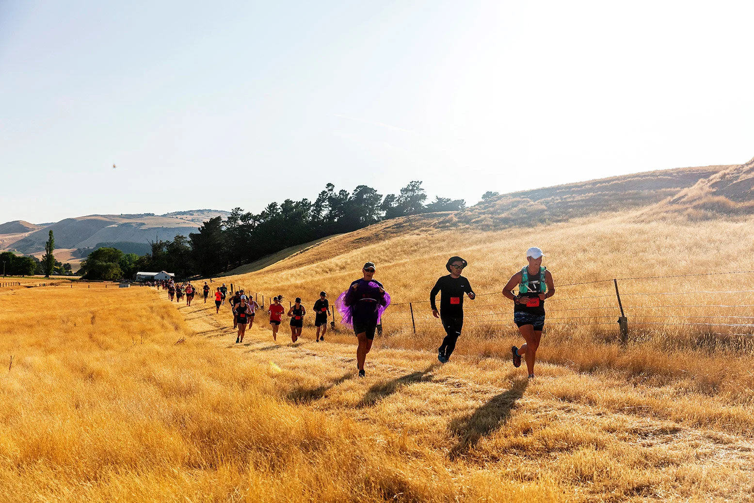 Gallery 2020 — Pegasus Bay Vine Run