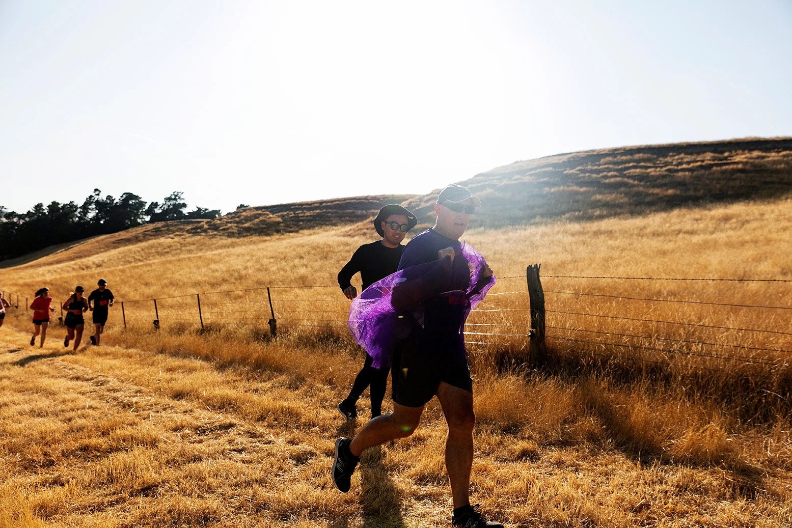 Gallery 2020 — Pegasus Bay Vine Run