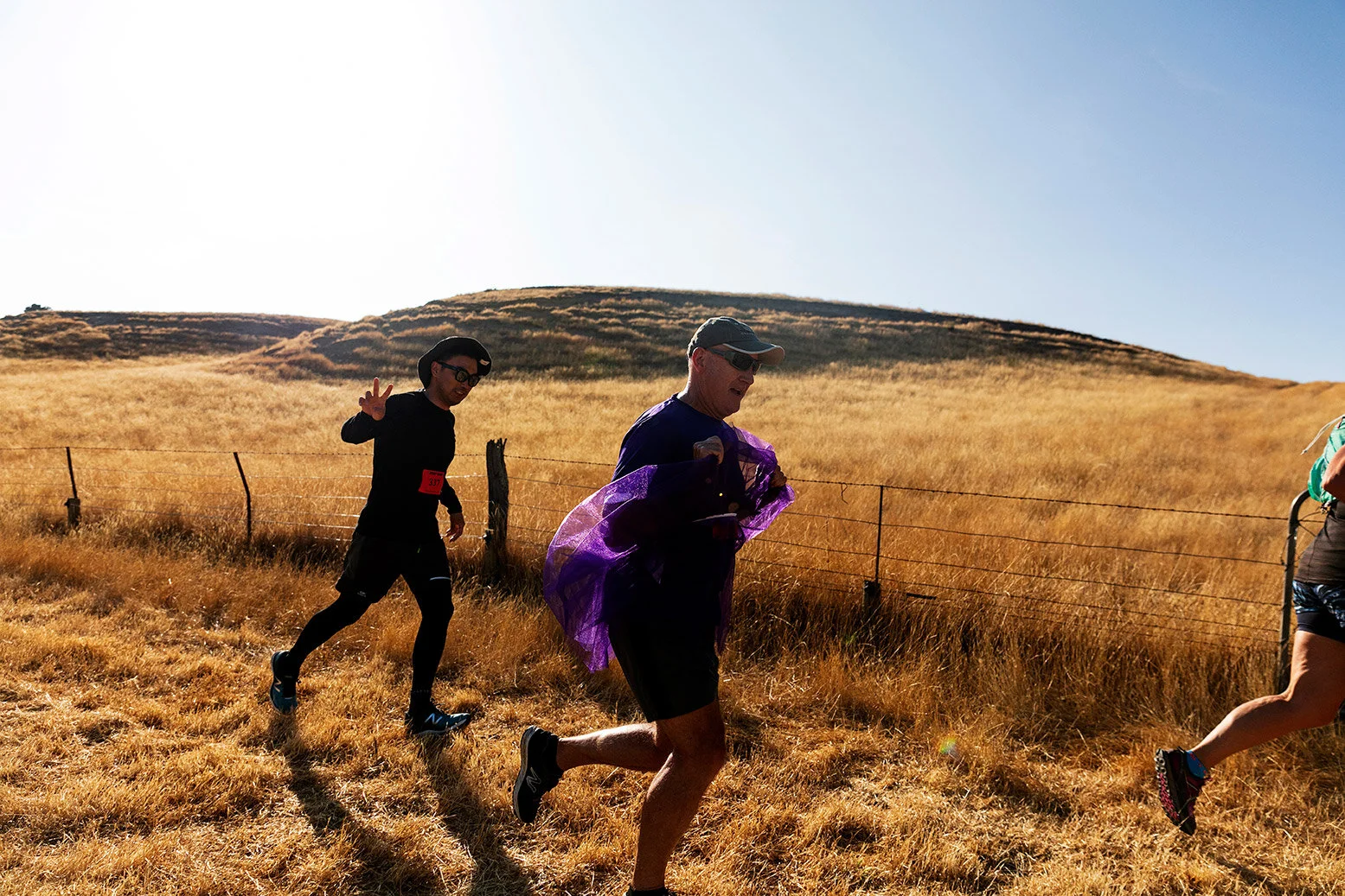 Gallery 2020 — Pegasus Bay Vine Run