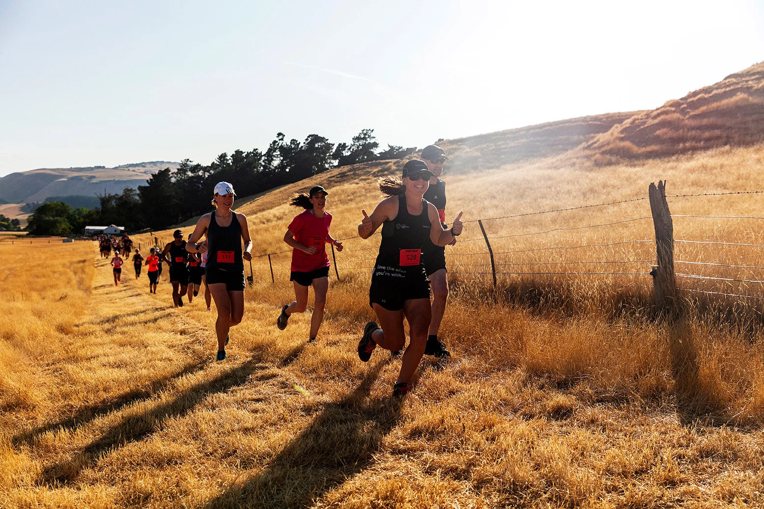 Gallery 2020 — Pegasus Bay Vine Run