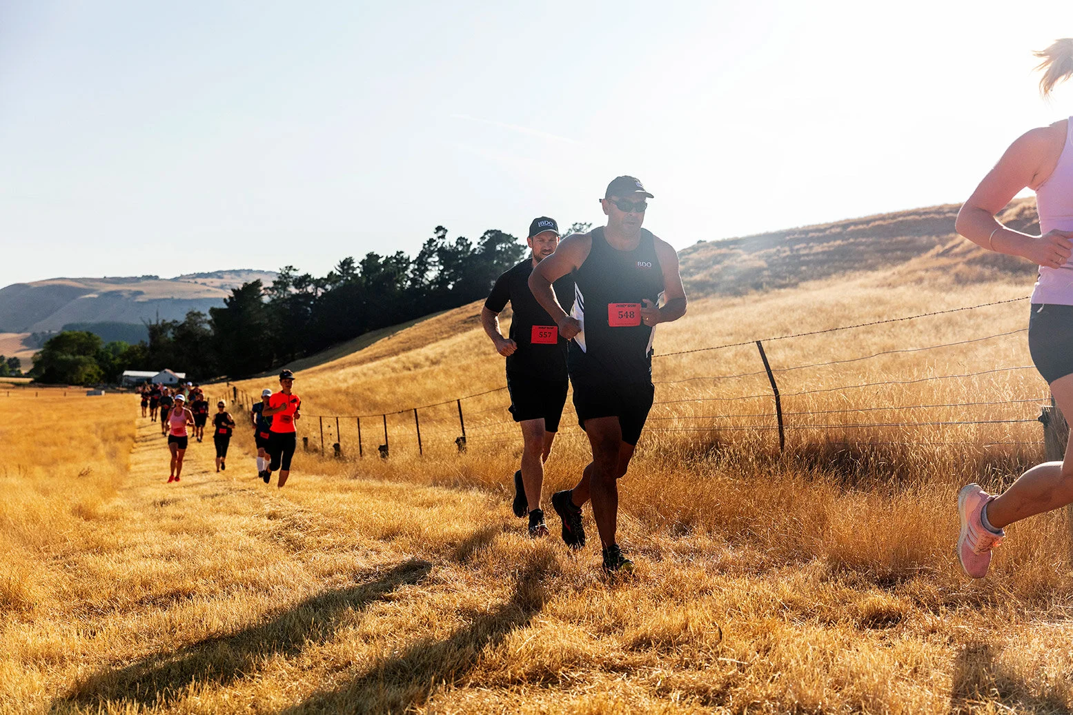 Gallery 2020 — Pegasus Bay Vine Run