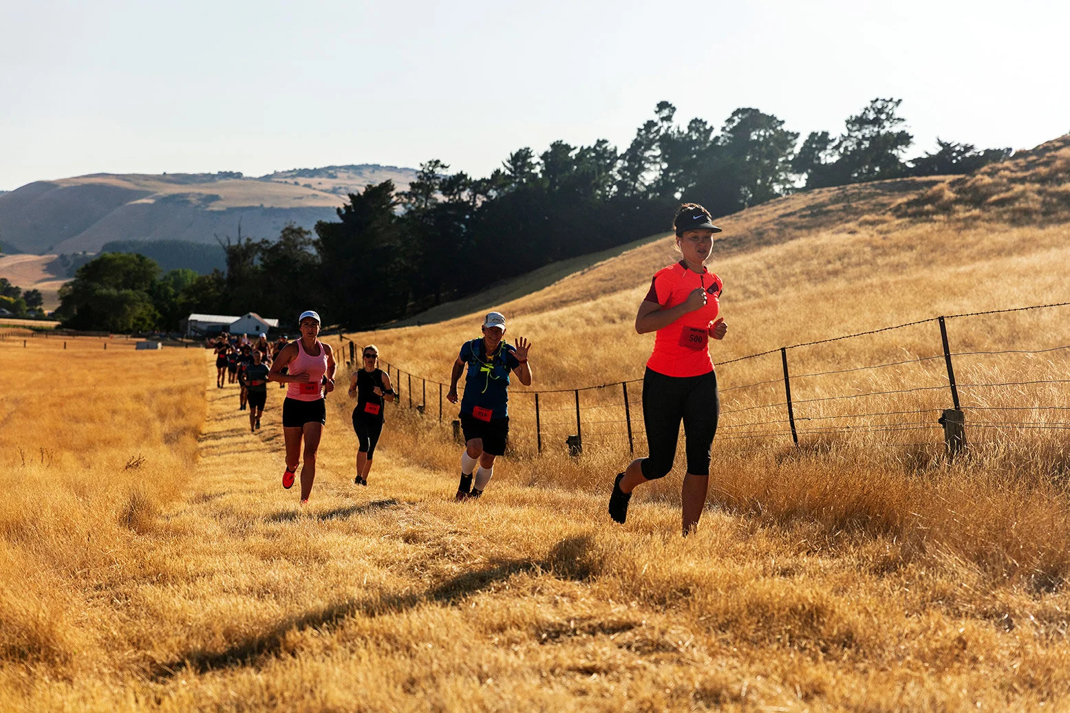 Gallery 2020 — Pegasus Bay Vine Run