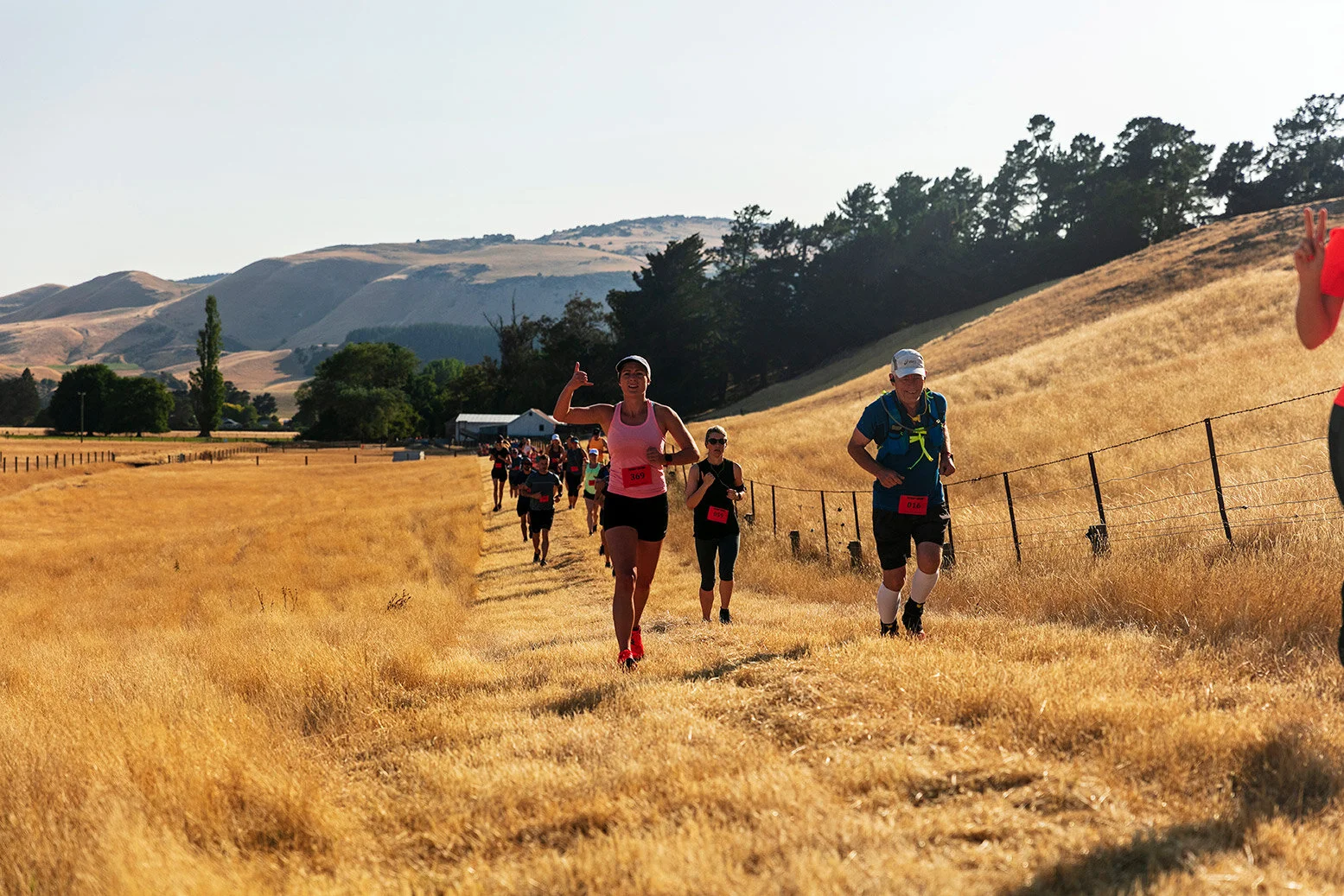 Gallery 2020 — Pegasus Bay Vine Run