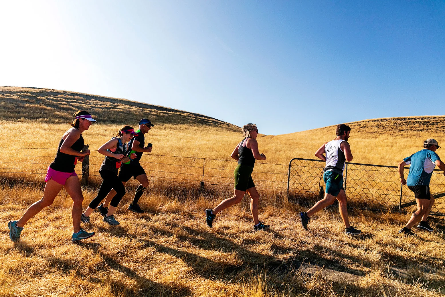 Gallery 2020 — Pegasus Bay Vine Run