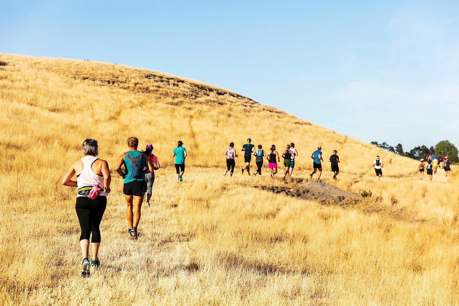 Gallery 2020 — Pegasus Bay Vine Run