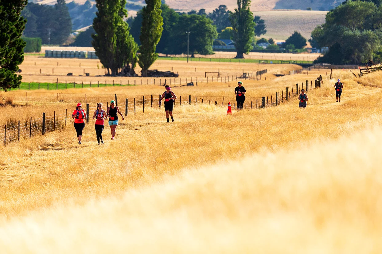 Gallery 2020 — Pegasus Bay Vine Run