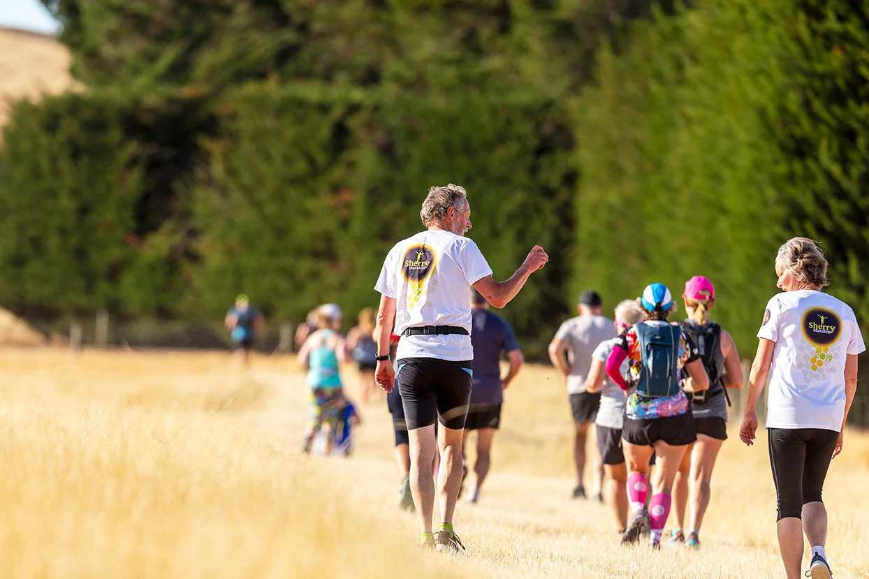 Gallery 2020 — Pegasus Bay Vine Run