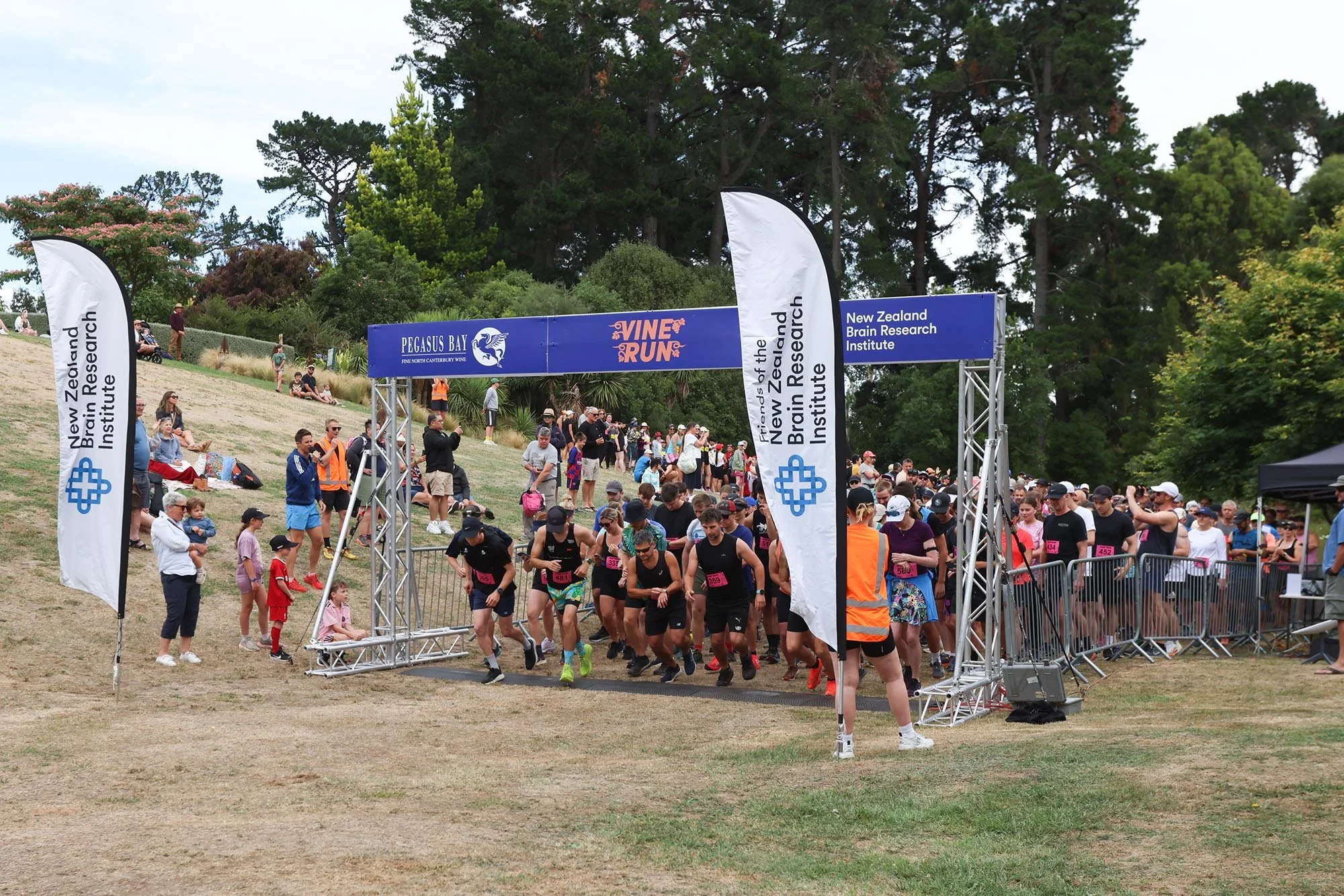 Vine Run 2024 - Gallery 1 — Pegasus Bay Vine Run