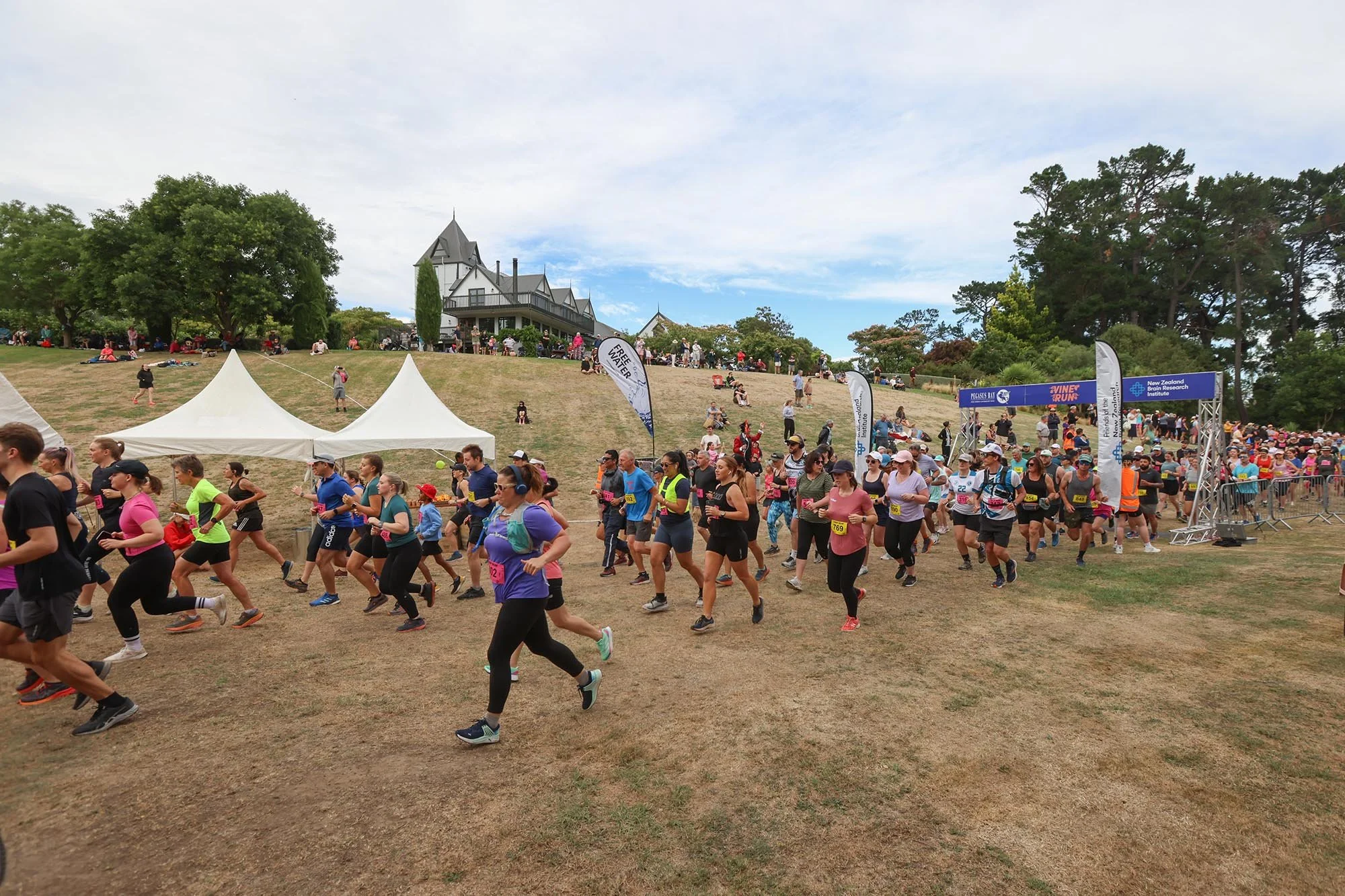 Vine Run 2024 - Gallery 1 — Pegasus Bay Vine Run