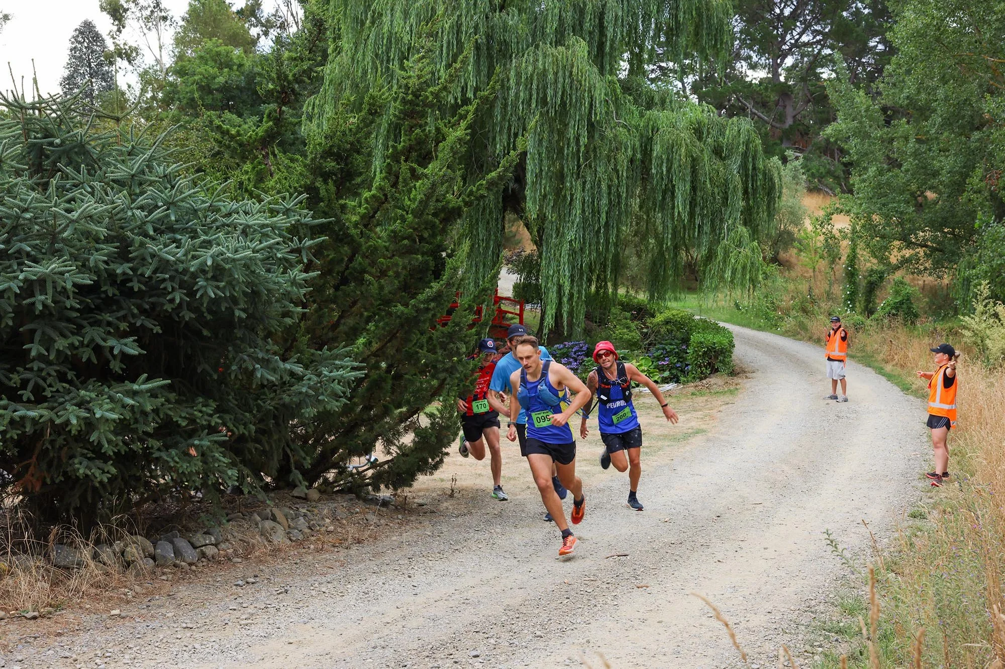 Vine Run 2024 - Gallery 2 — Pegasus Bay Vine Run