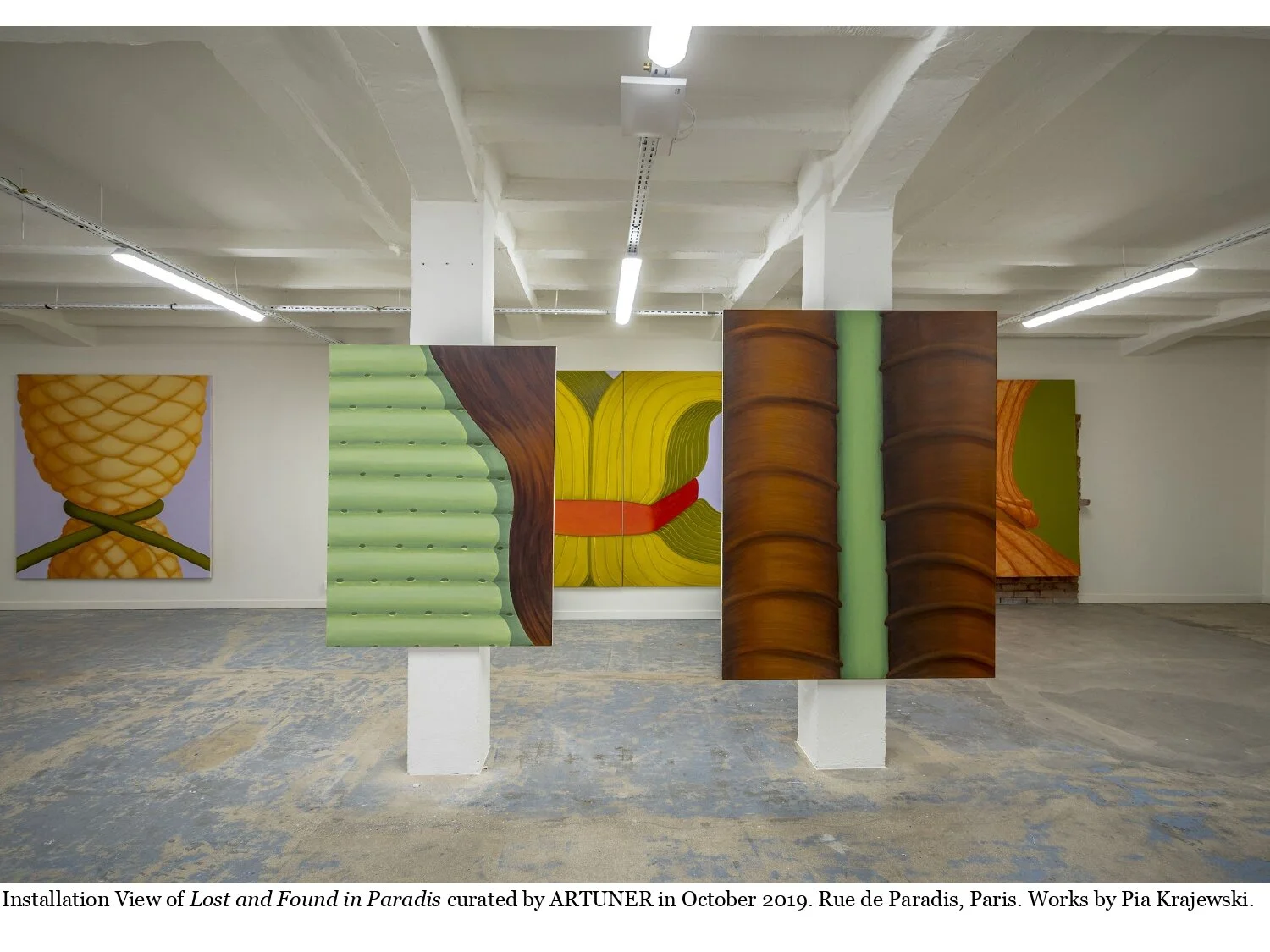 Eugenio Re Rebaudengo — Contemporary Art Collectors