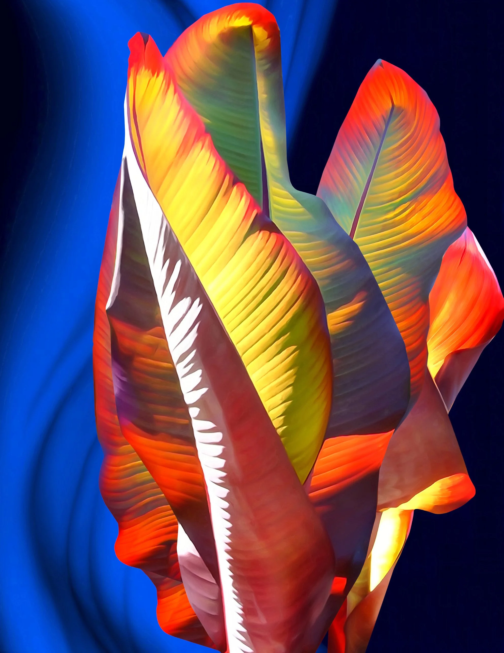 Katja Lührs — Contemporary Art Collectors