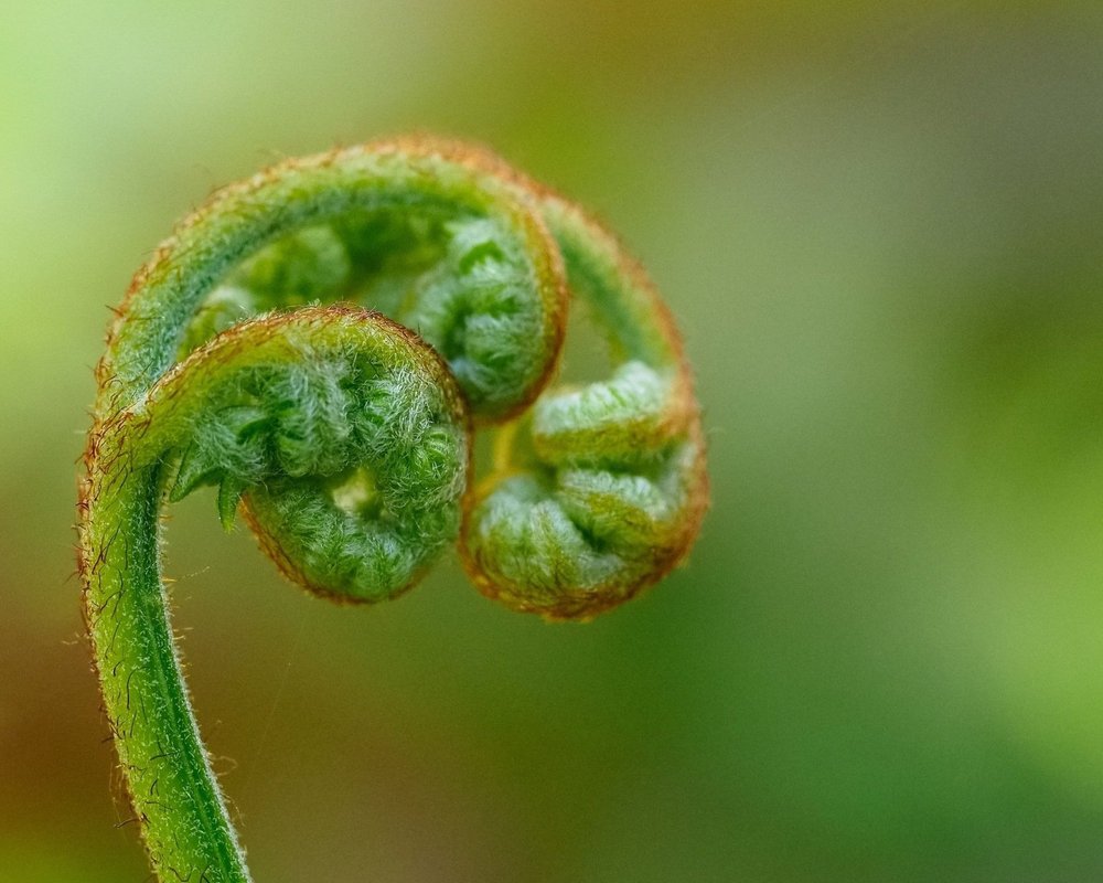 The Transformational Travel Council