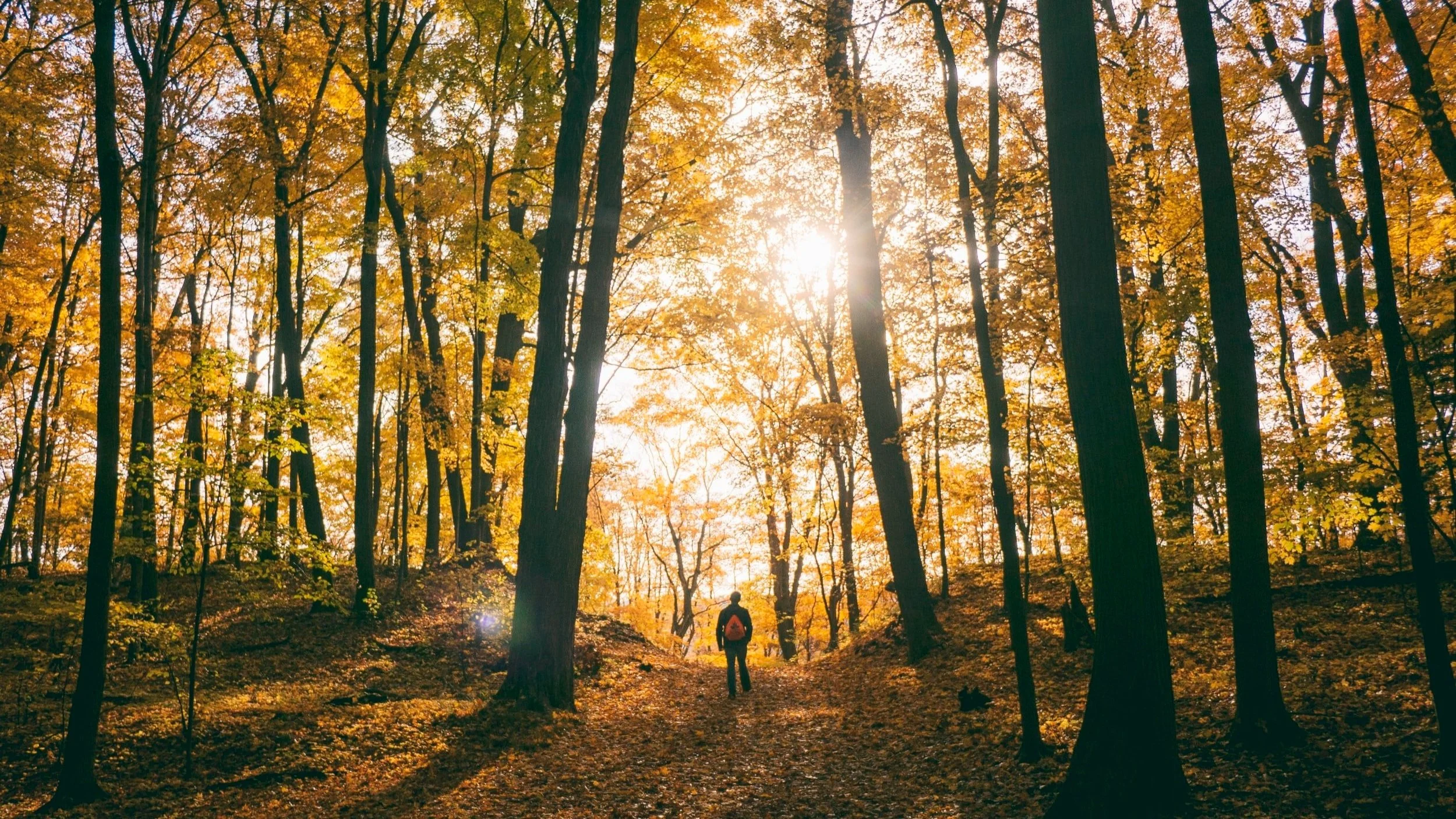 Foundational Framework — The Transformational Travel Council