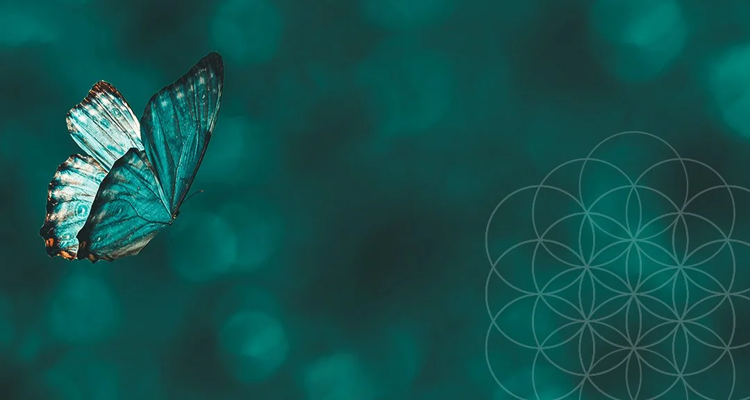 The Transformational Travel Council