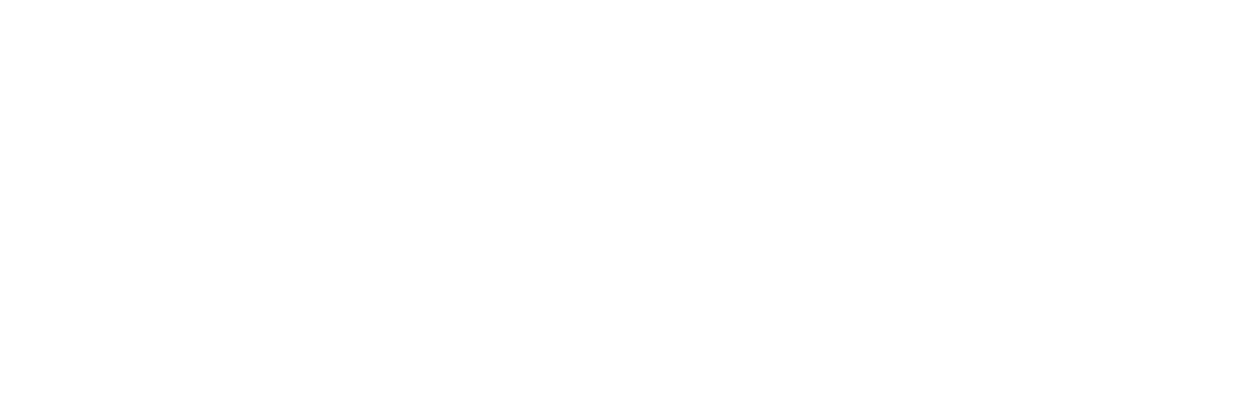 The Transformational Travel Council