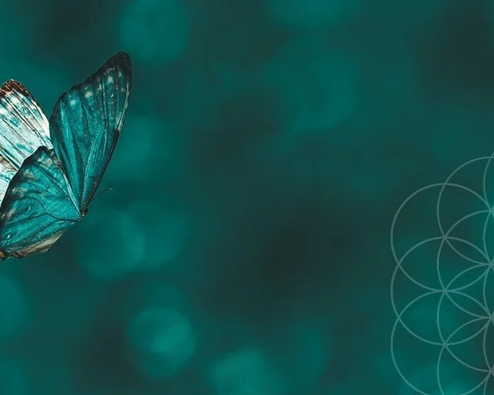 The Transformational Travel Council